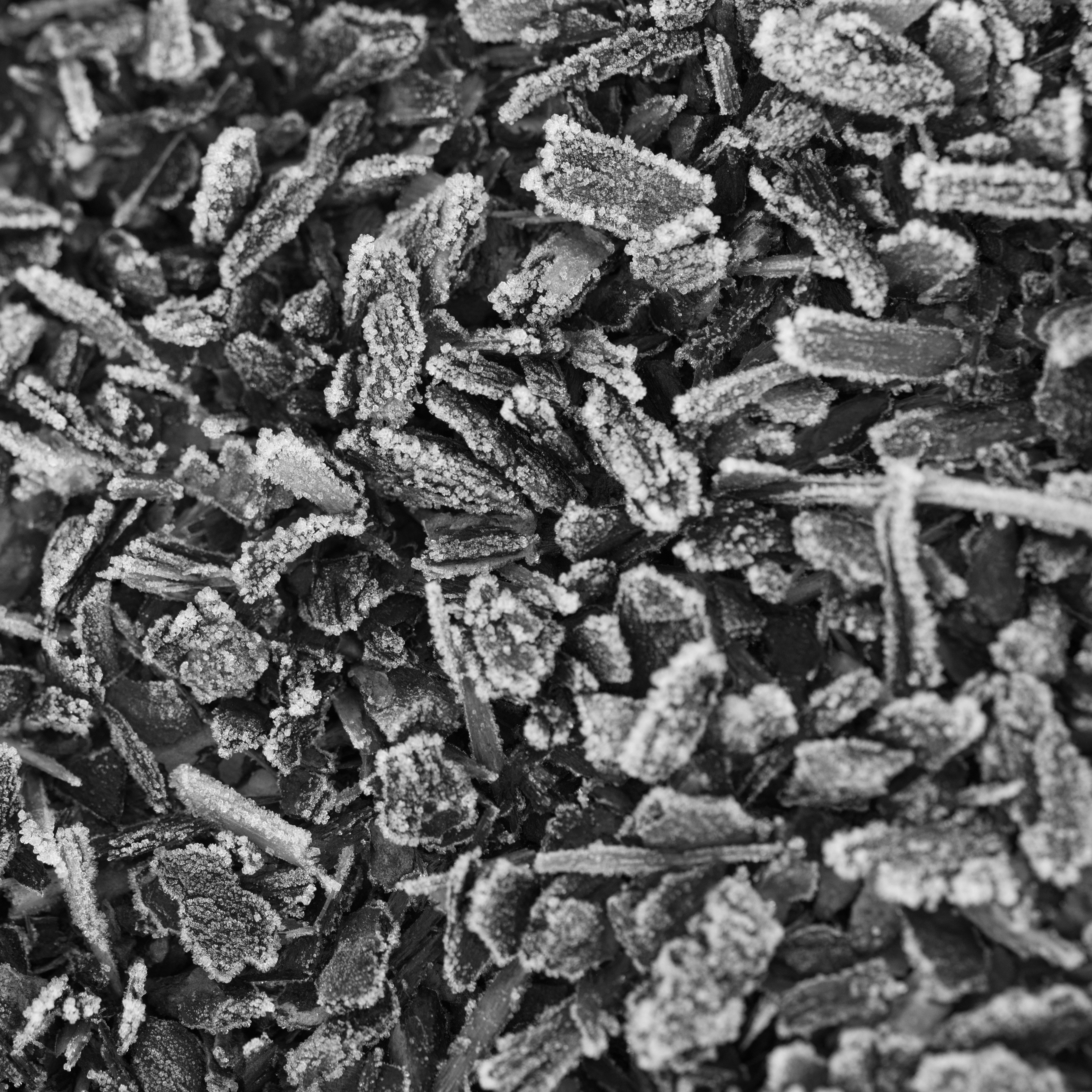 Gray scale photo of stones photo – Free Ice Image on Unsplash