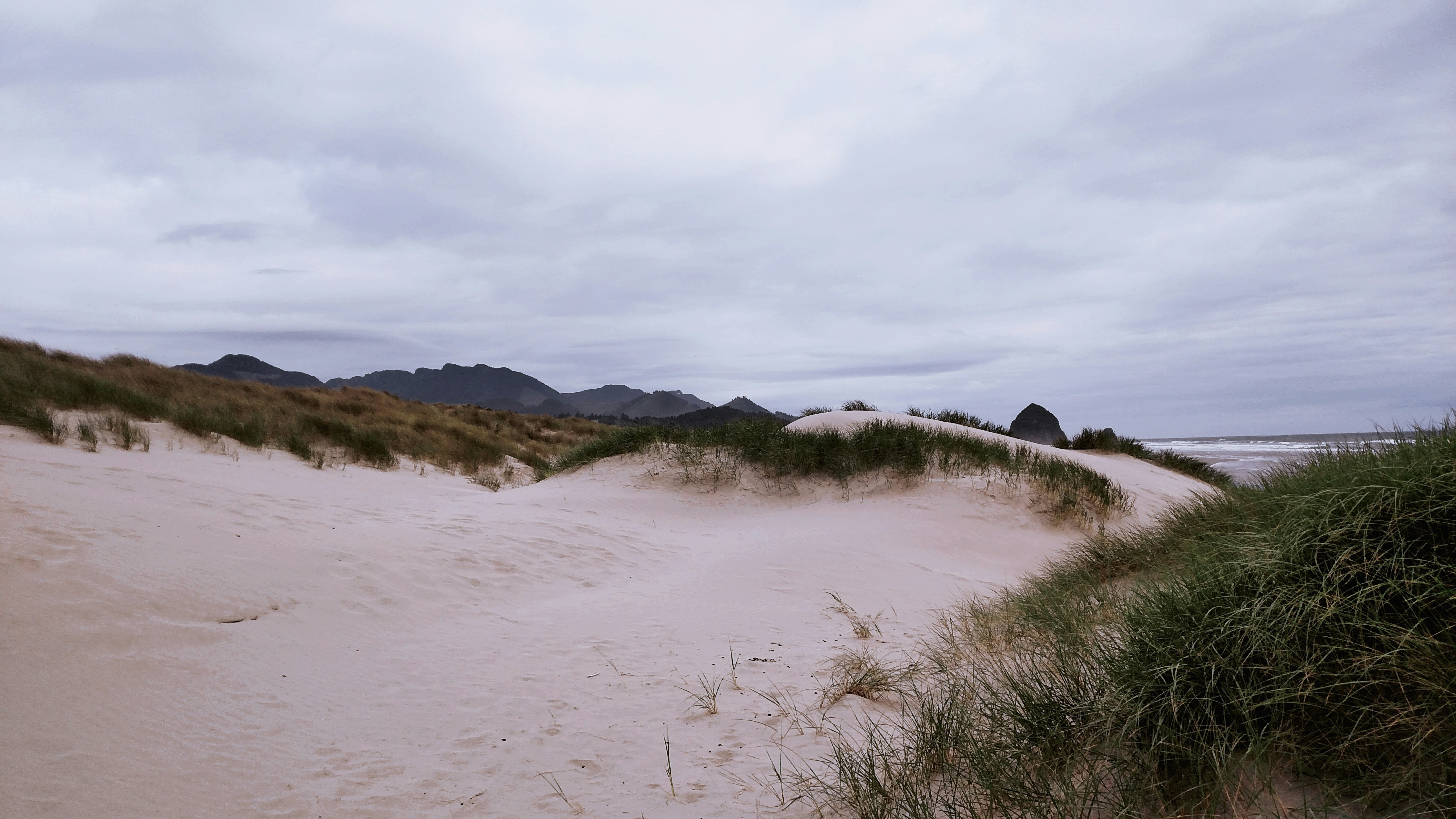Gentle sand dunes rise and fall under a cloudy sky, framed by coastal grasses and distant mountains. The scene evokes a tranquil, untouched landscape.