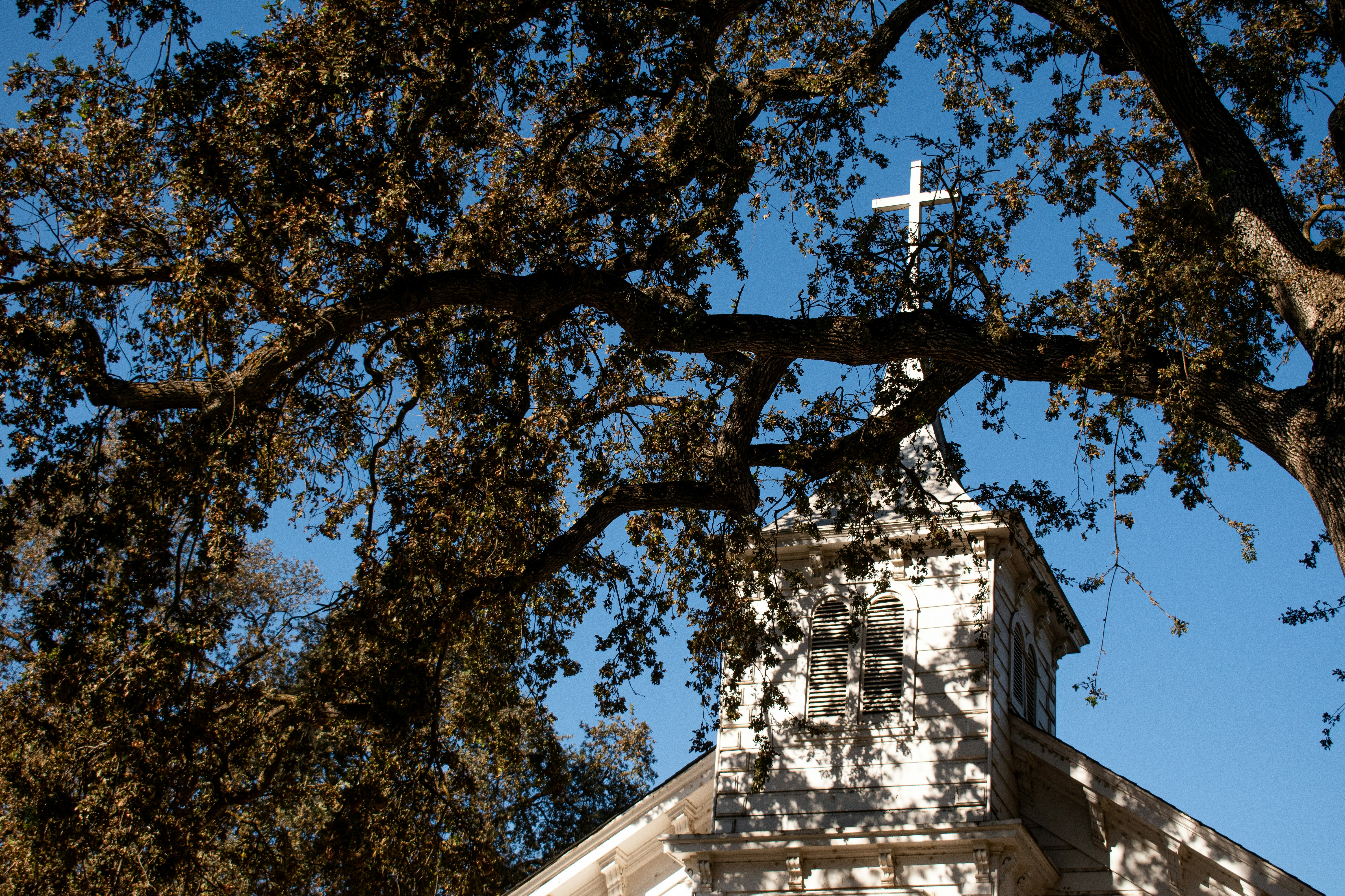 Cross atop a sunlit church tower under a canopy of autumn branches