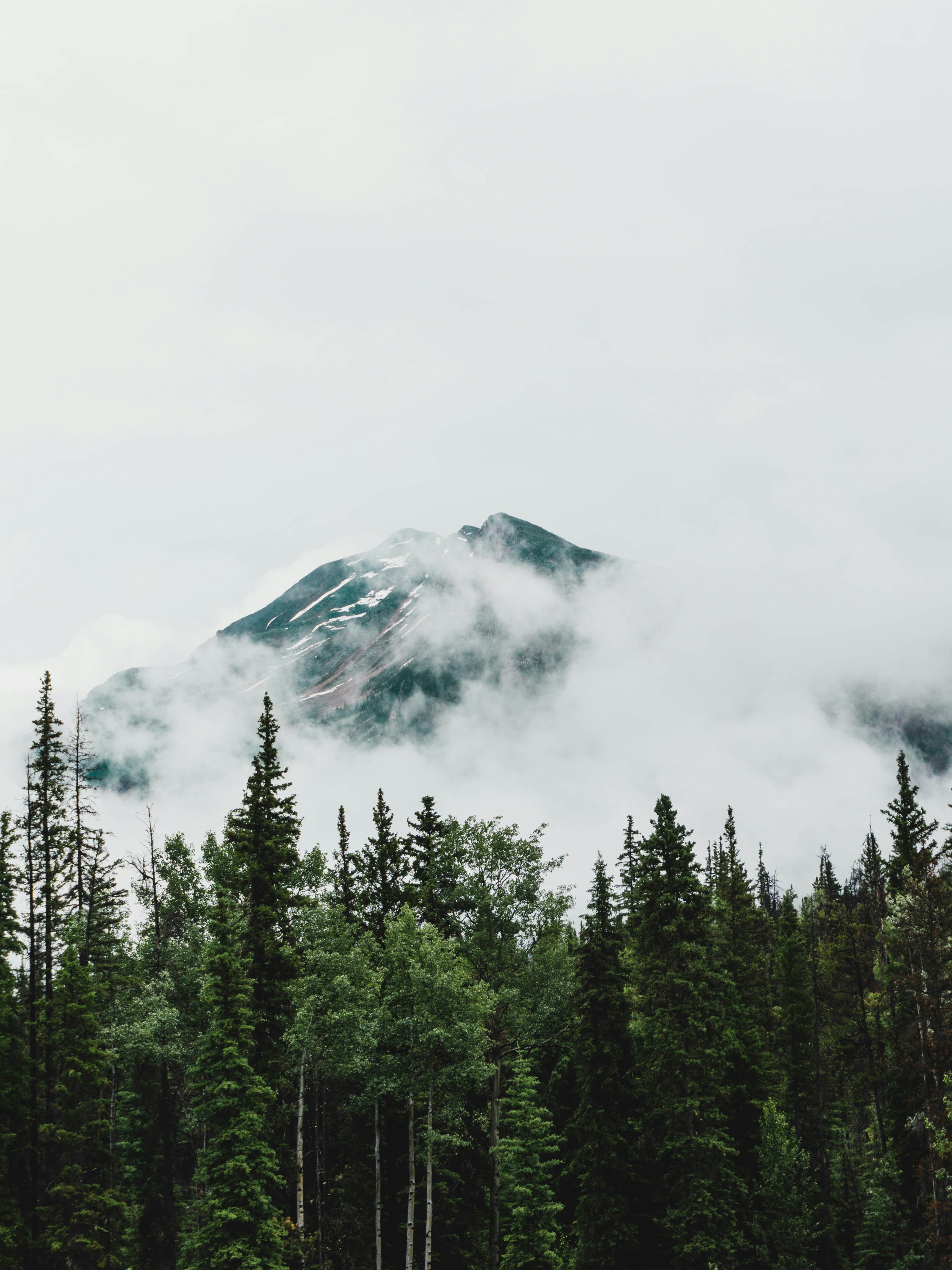 Snow-capped mountain peaks loom above a dense forest, partially obscured by mist and clouds. A serene landscape captures the essence of nature's tranquility.