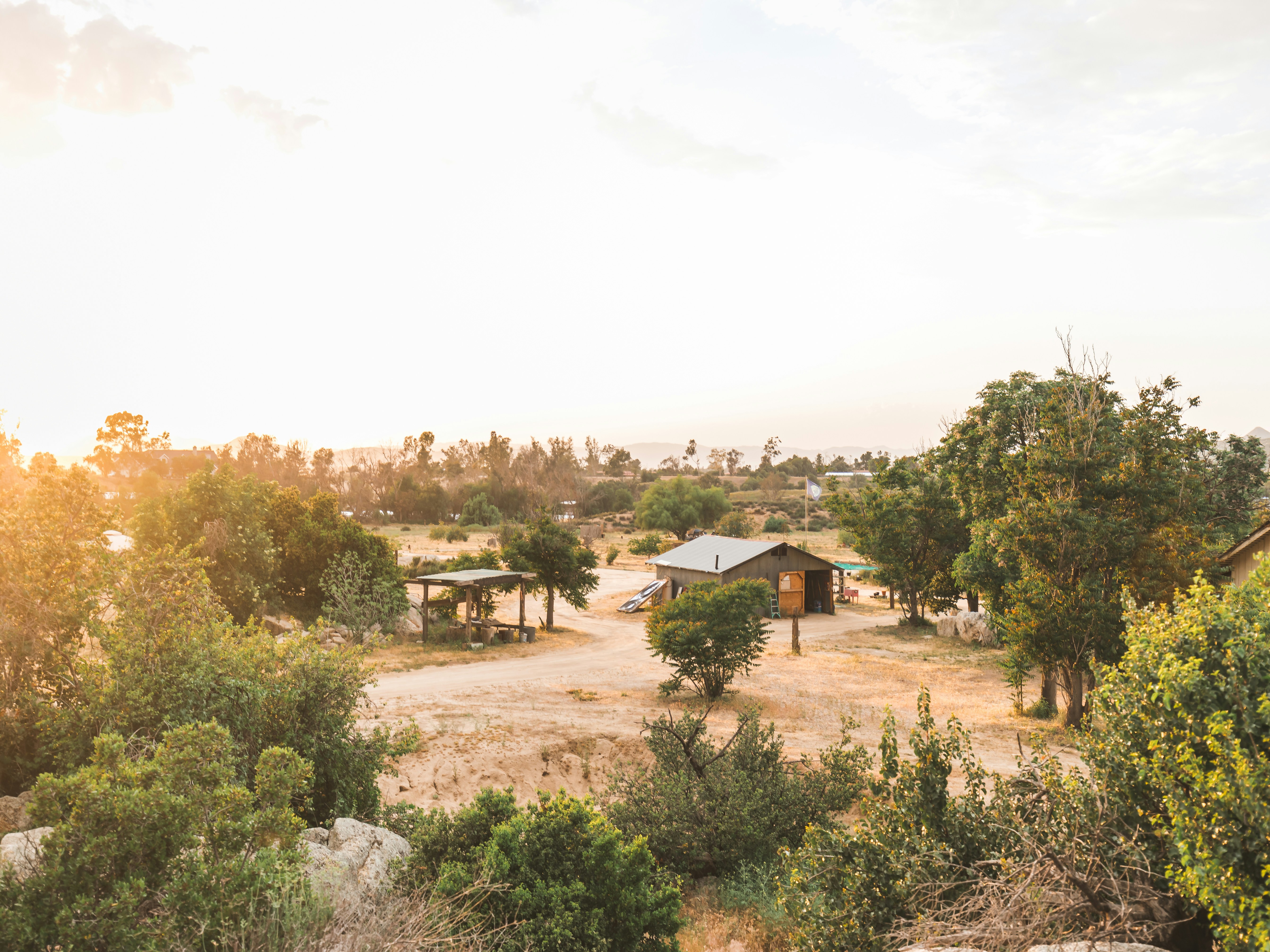 Hearth of Dust and Dusk: A Quiet Village Bordered by Trees