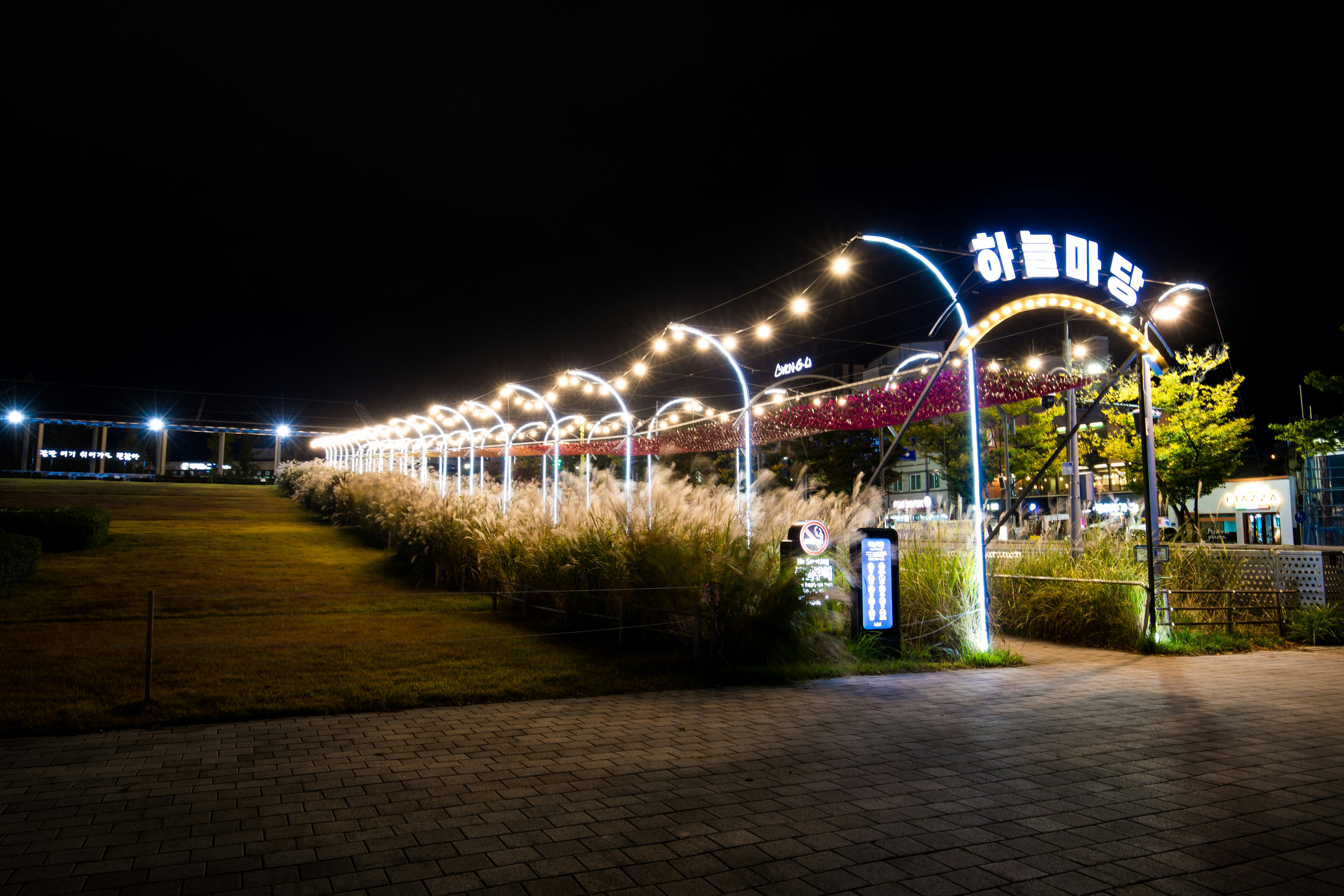 Night view of the Hanul Madang of the Asia Culture Center, full of silver grass and color chips