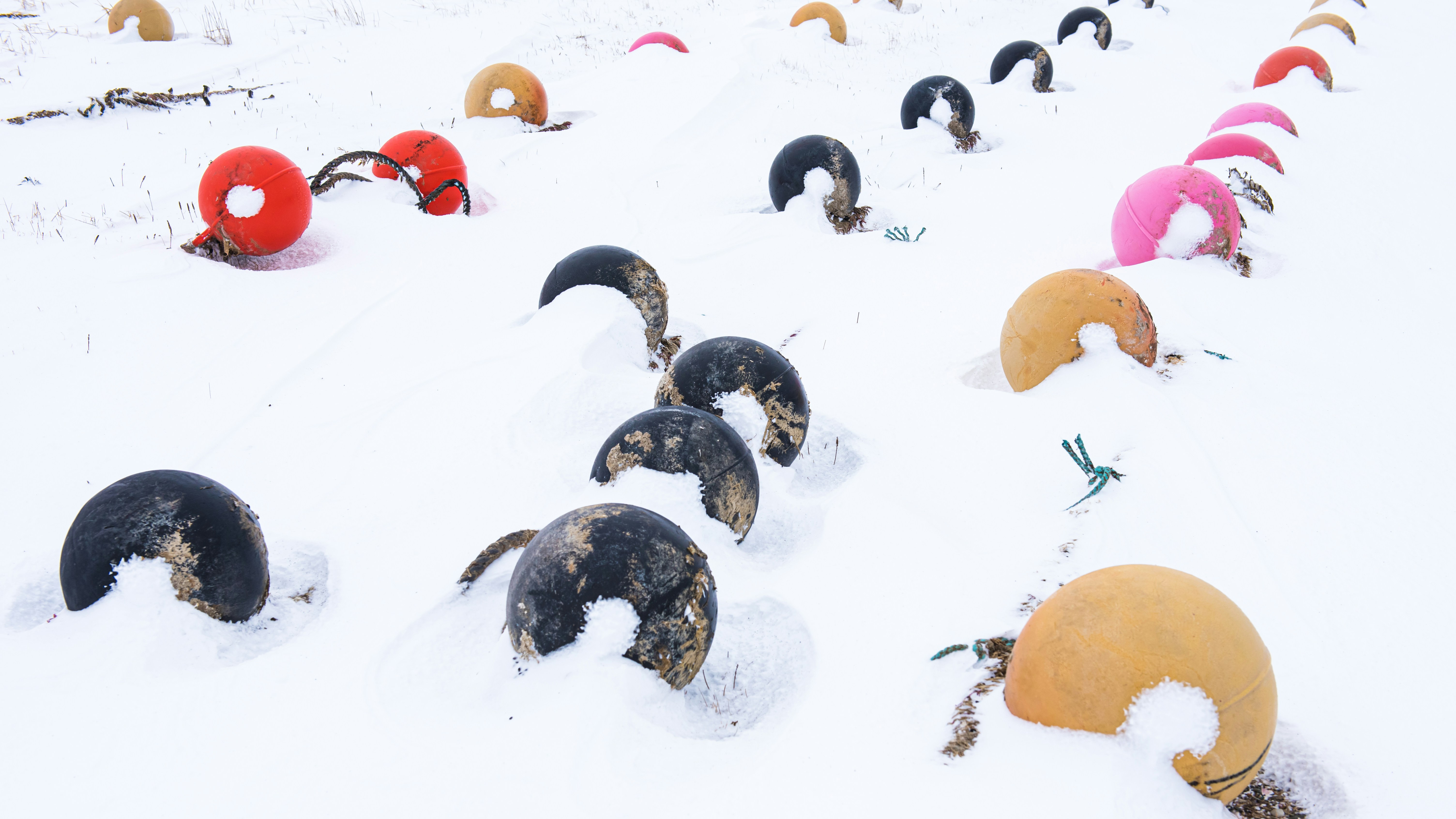 A row of colorful buoys partially buried in snow, creating a striking contrast against the white landscape.