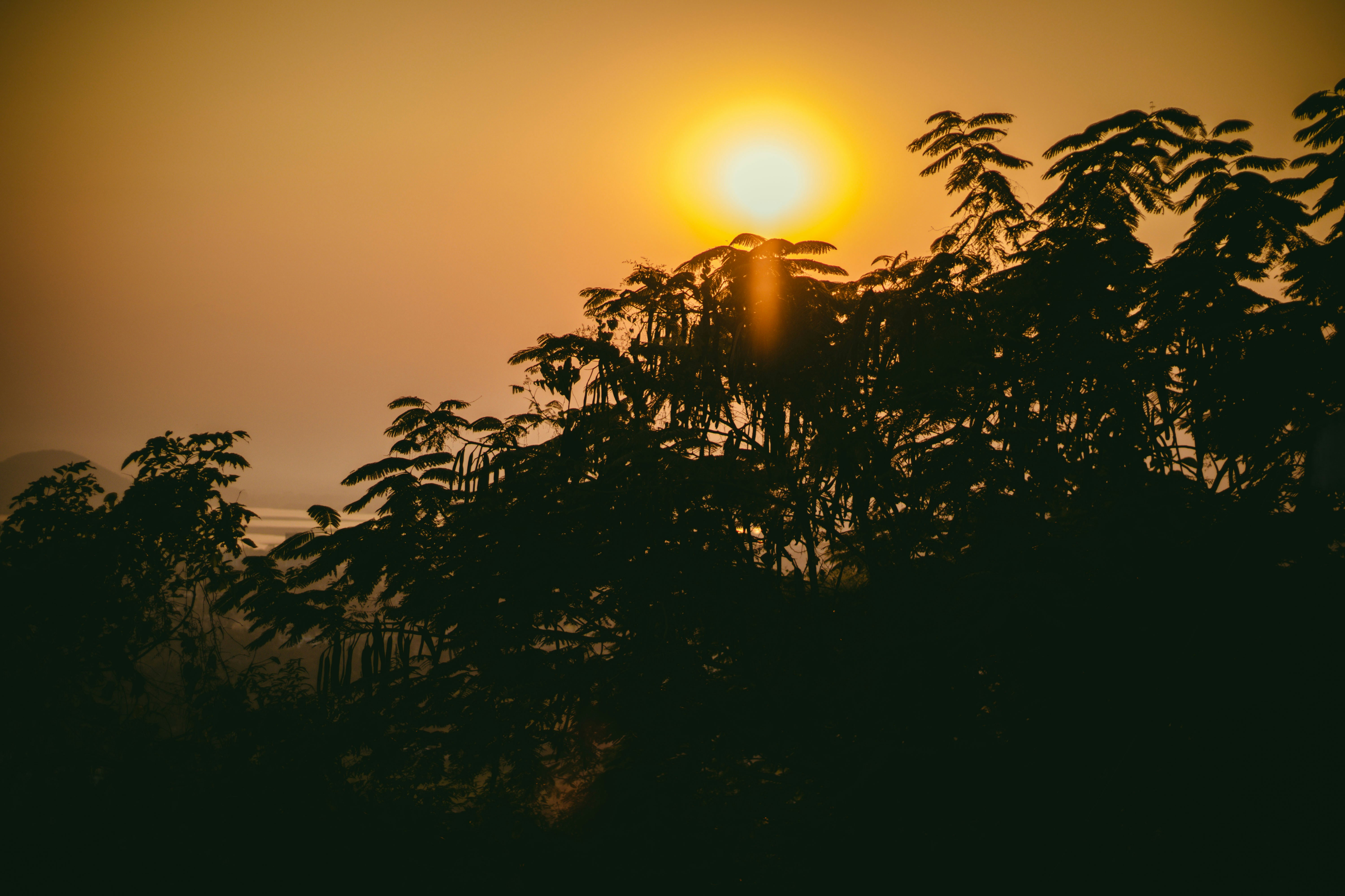 Silhouetted trees frame a golden sun setting against a hazy sky, creating a serene atmosphere. The scene evokes a sense of tranquility and connection with nature.