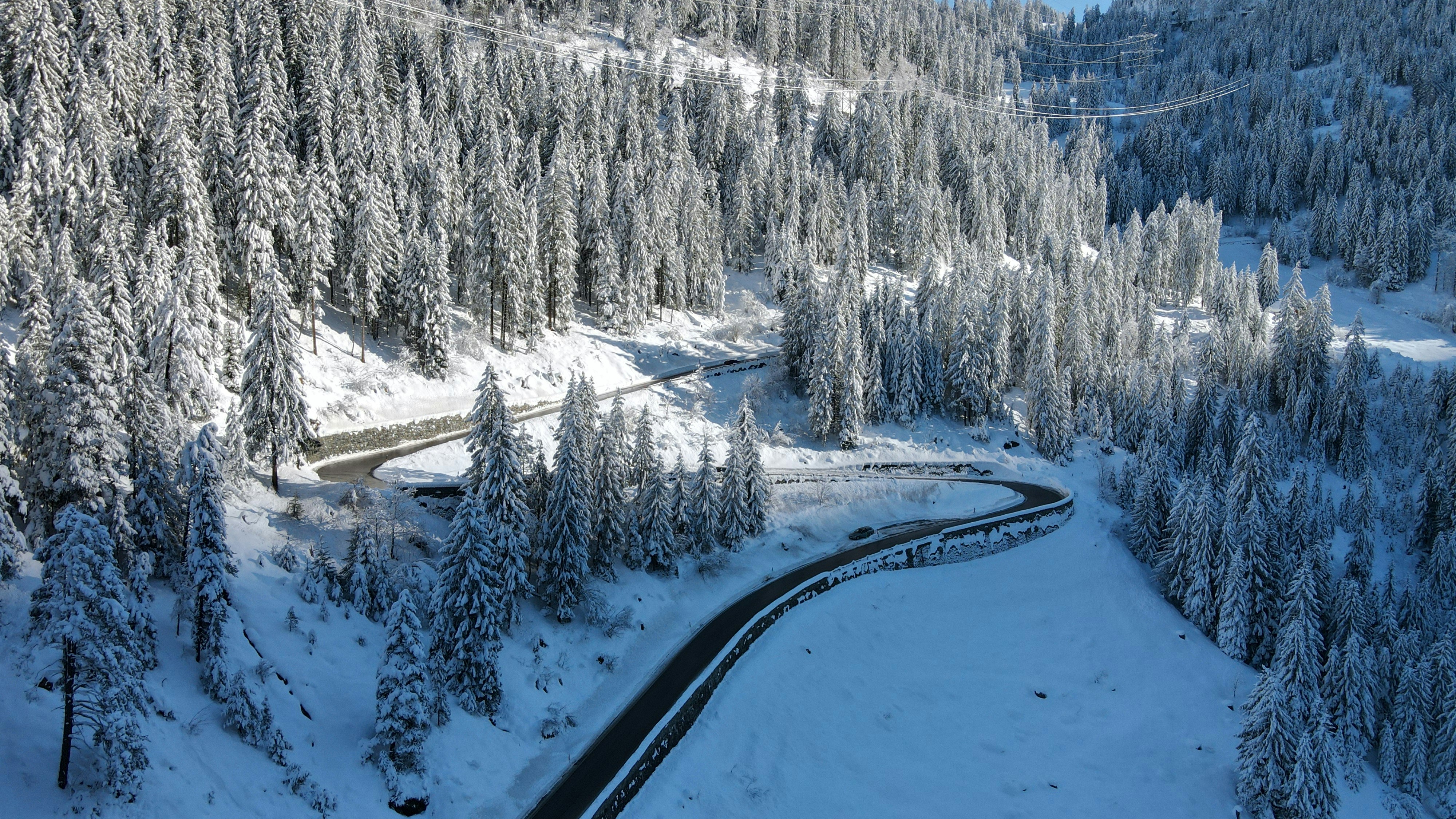 Winding road cuts through snow-laden forest under clear skies.
