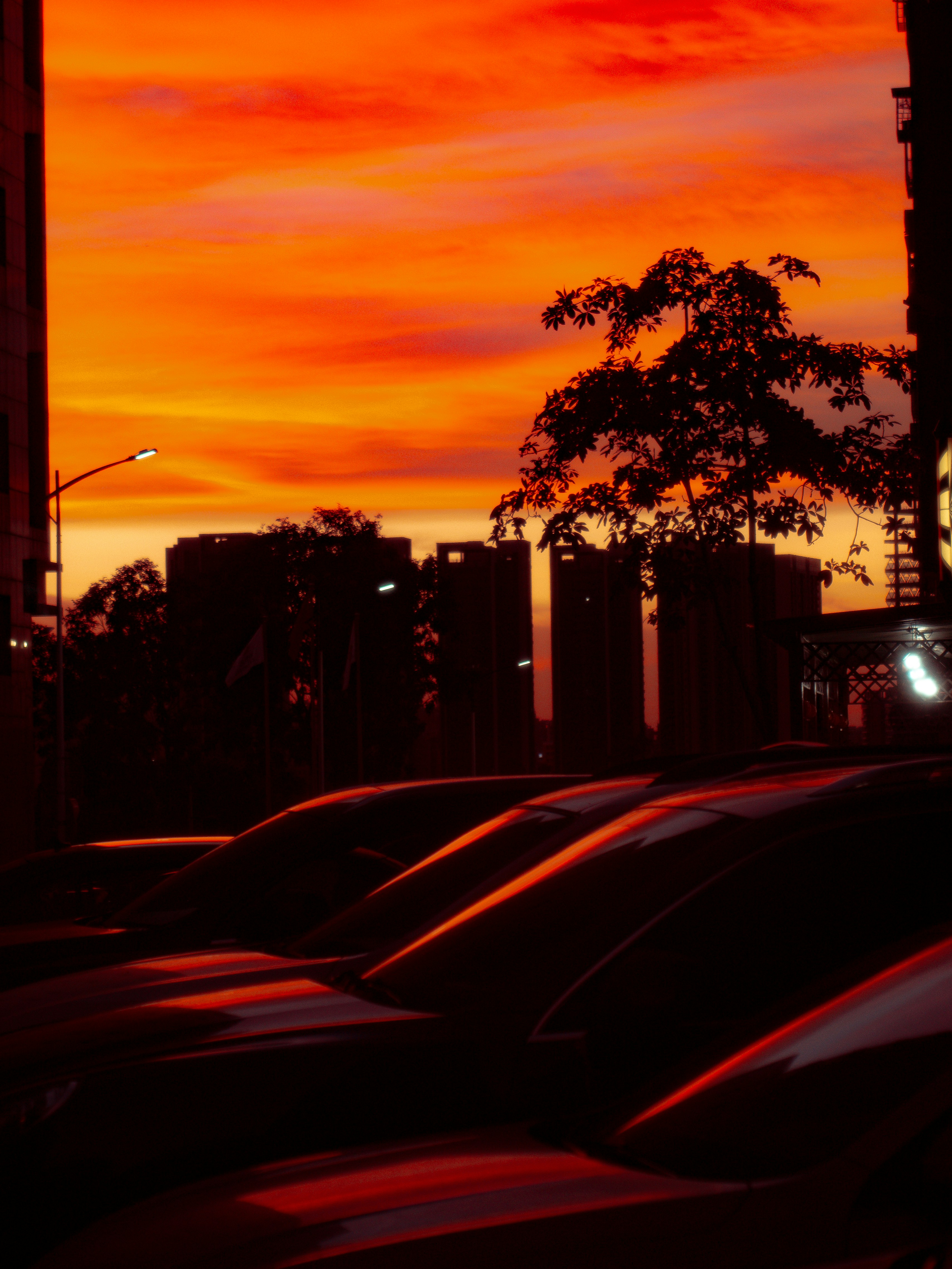 Vibrant sunset casts fiery hues over silhouetted buildings and parked cars, creating a dynamic urban landscape.