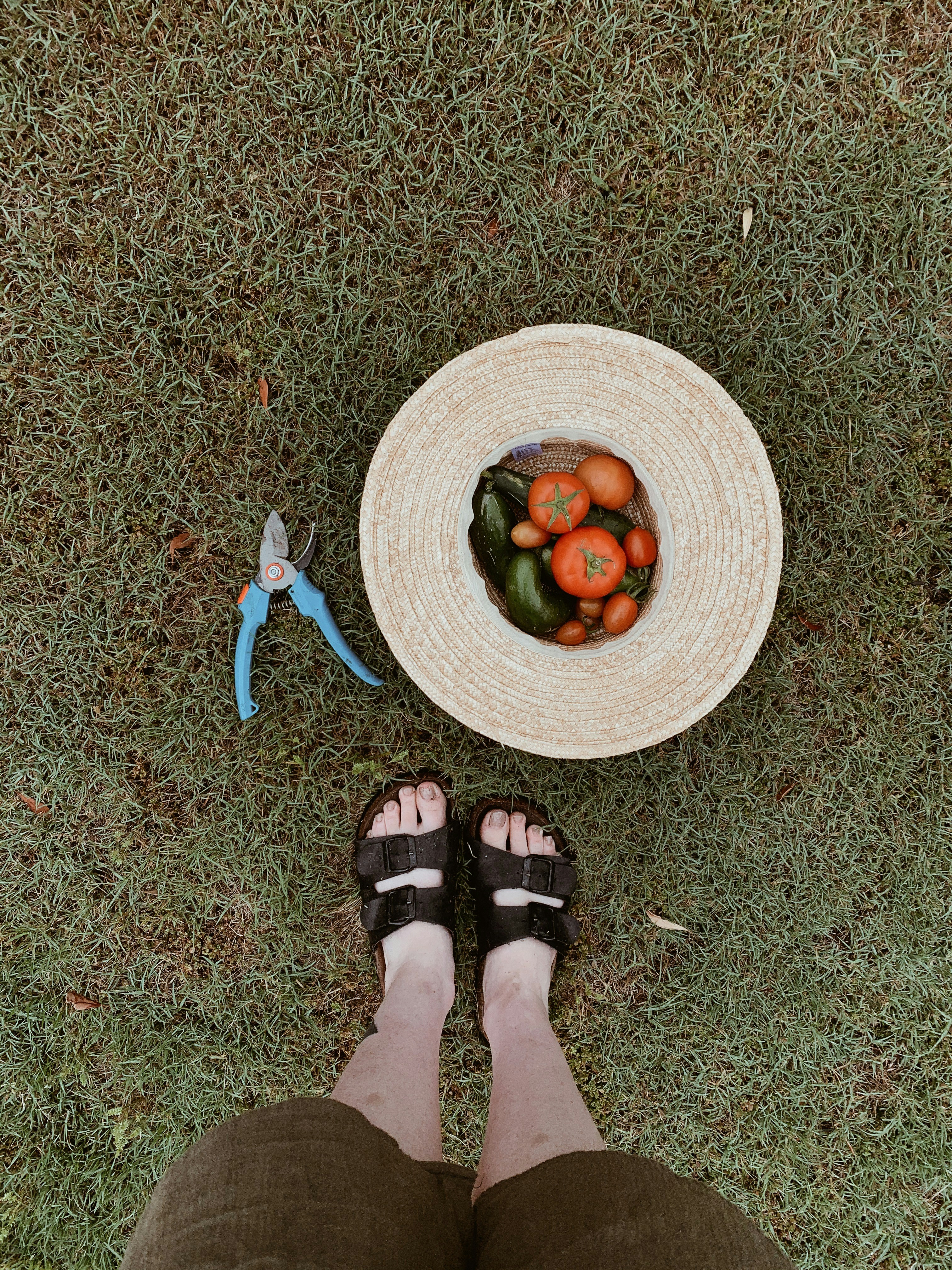 person in black leather sandals standing on green grass field