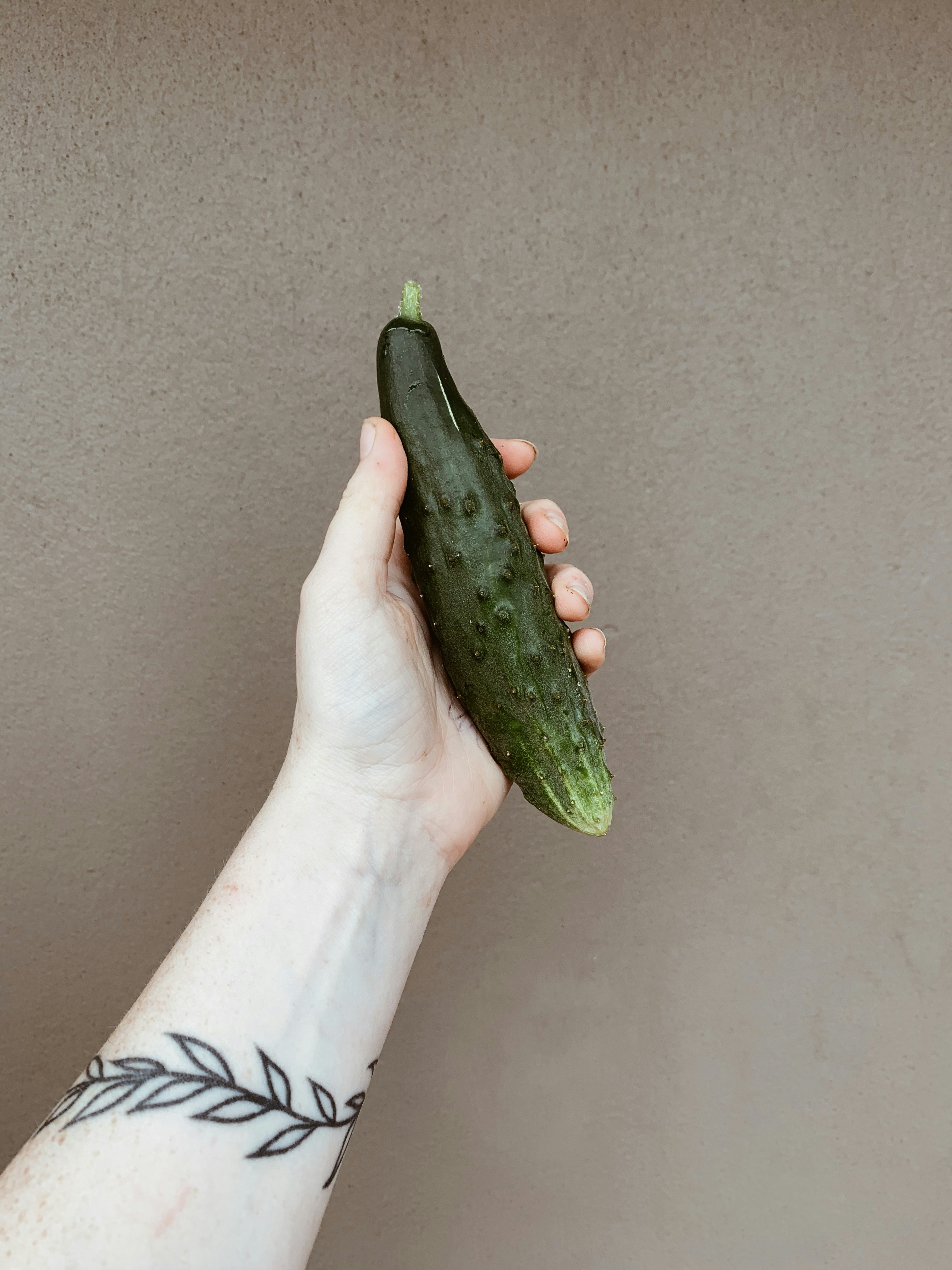 person holding green cucumber vegetable