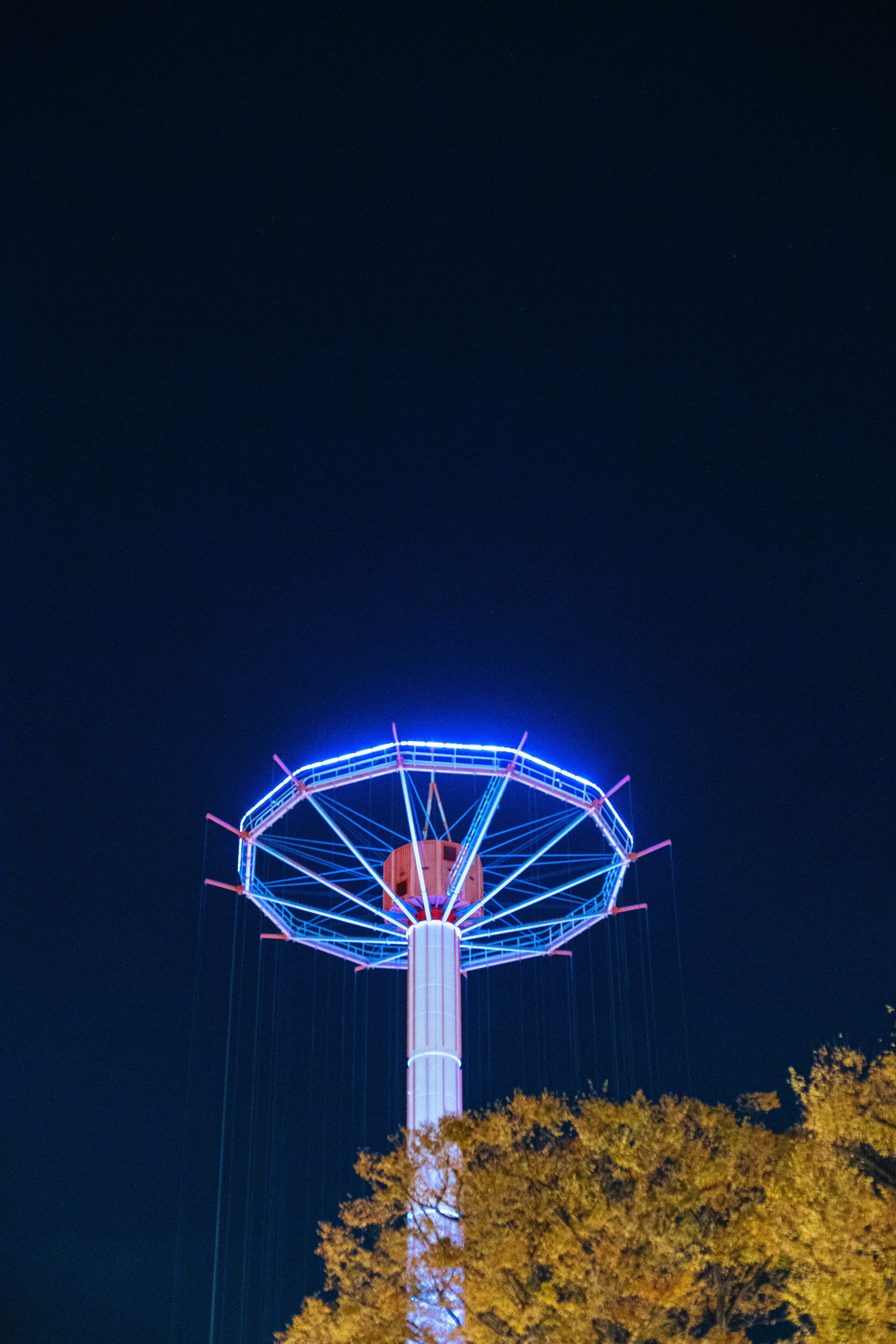 Illuminated amusement park ride towering against a dark night sky, showcasing vibrant blue and red lights. The structure stands amidst the silhouettes of surrounding trees.
