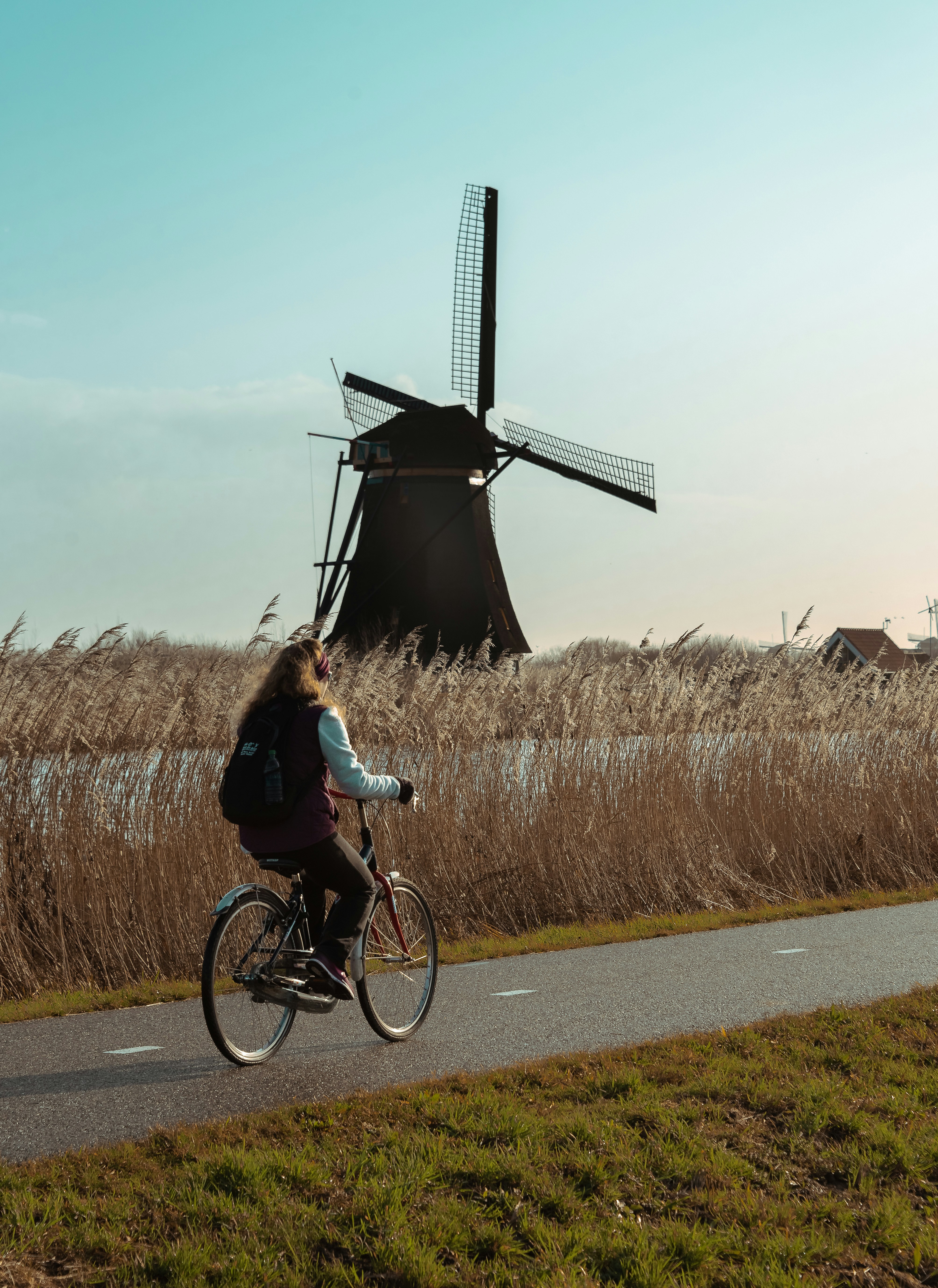 Cycling Through Dutch Traditions