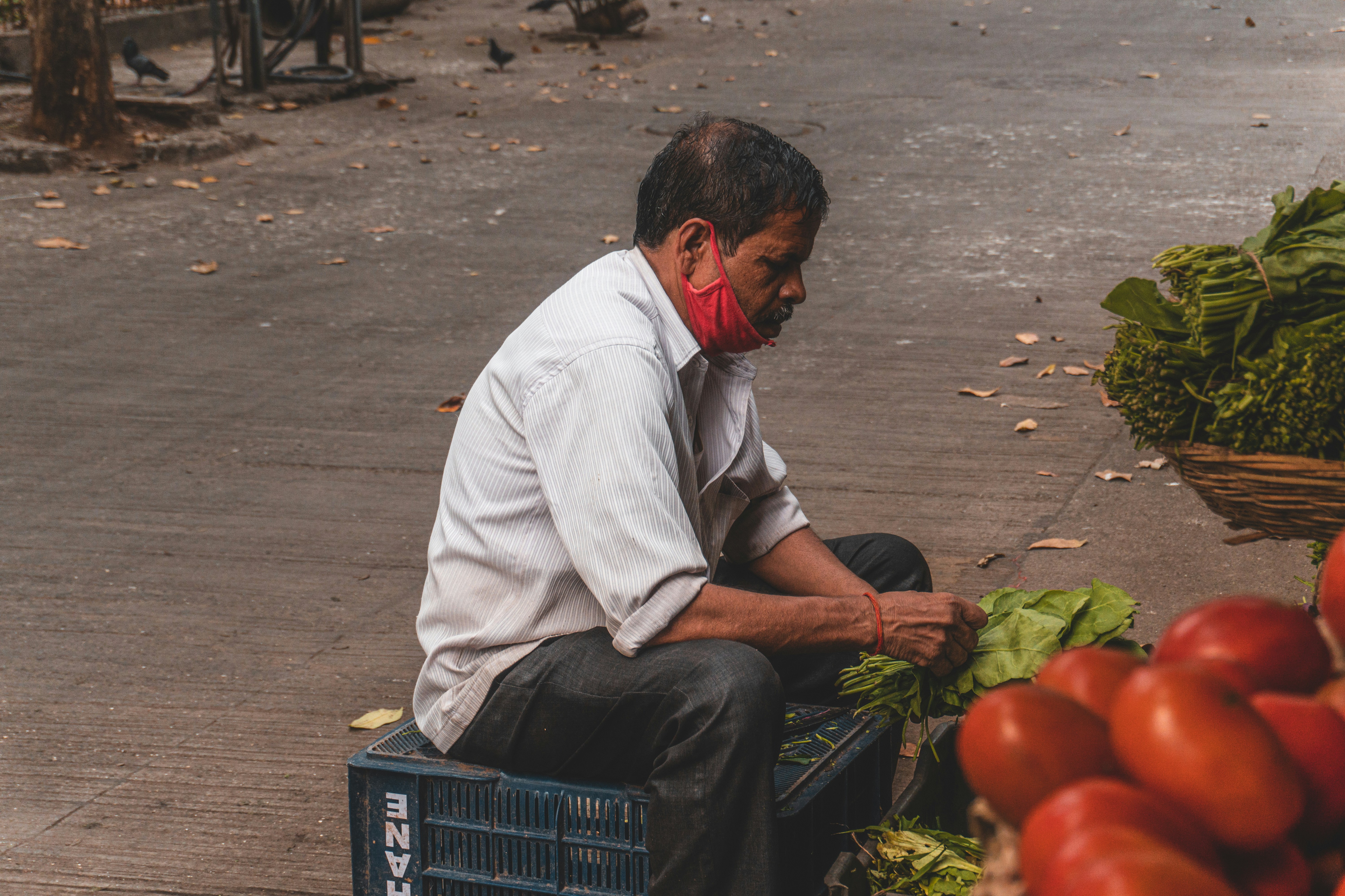 Vendor Pictures | Download Free Images on Unsplash