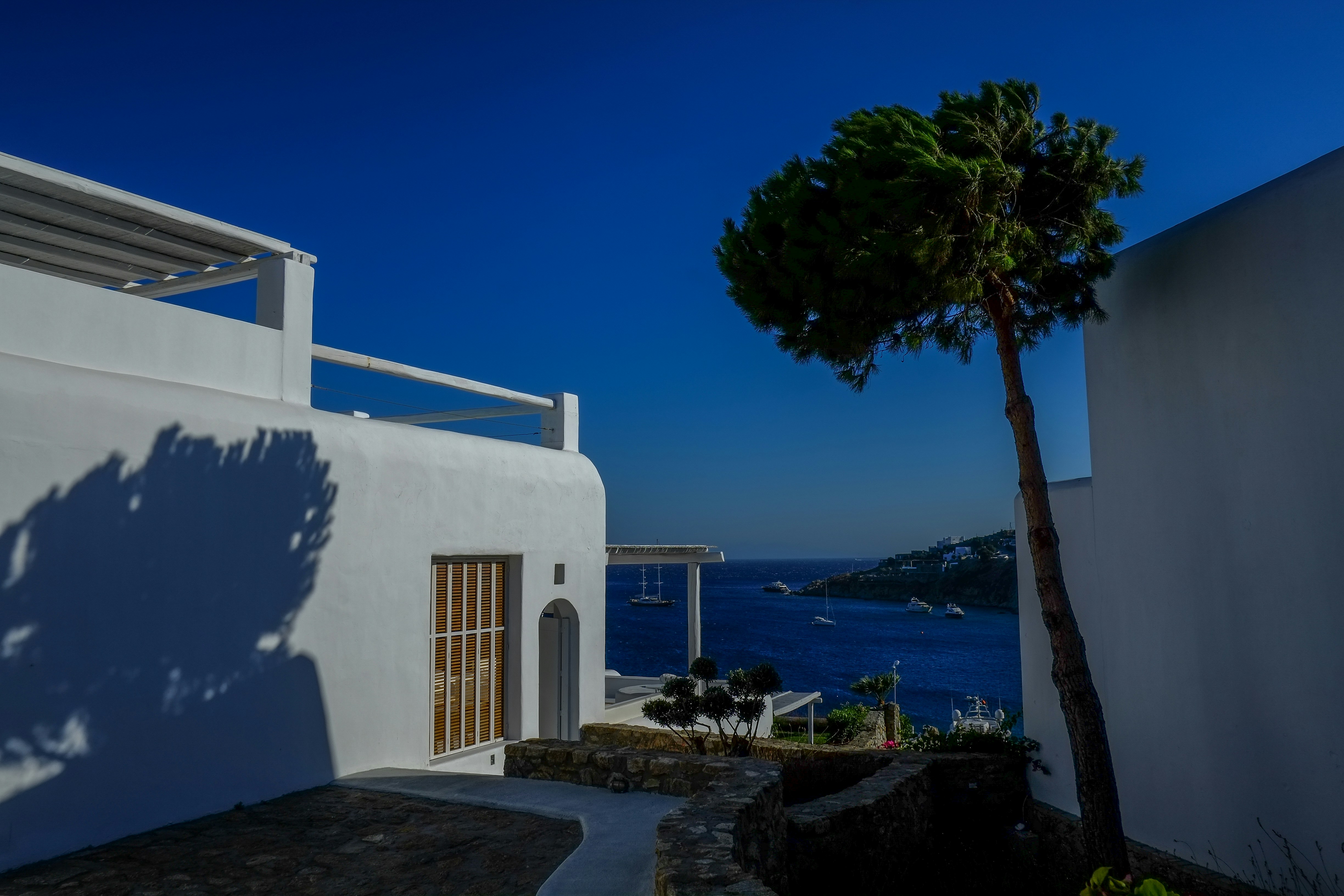 Modern white architecture framed by a windswept tree, overlooking a tranquil blue sea. The scene captures the essence of coastal living.