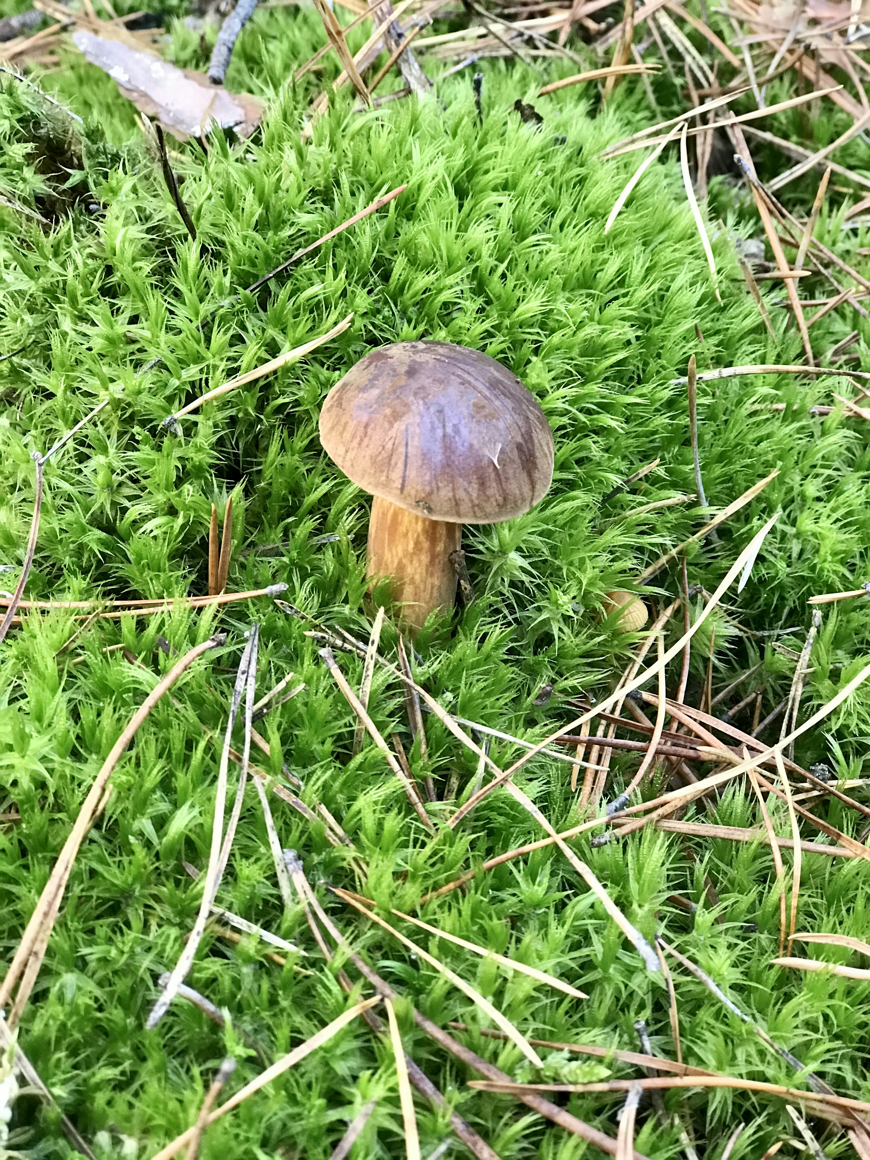 János Vorozsilnik (@voj) | Komunitas Foto Unsplash