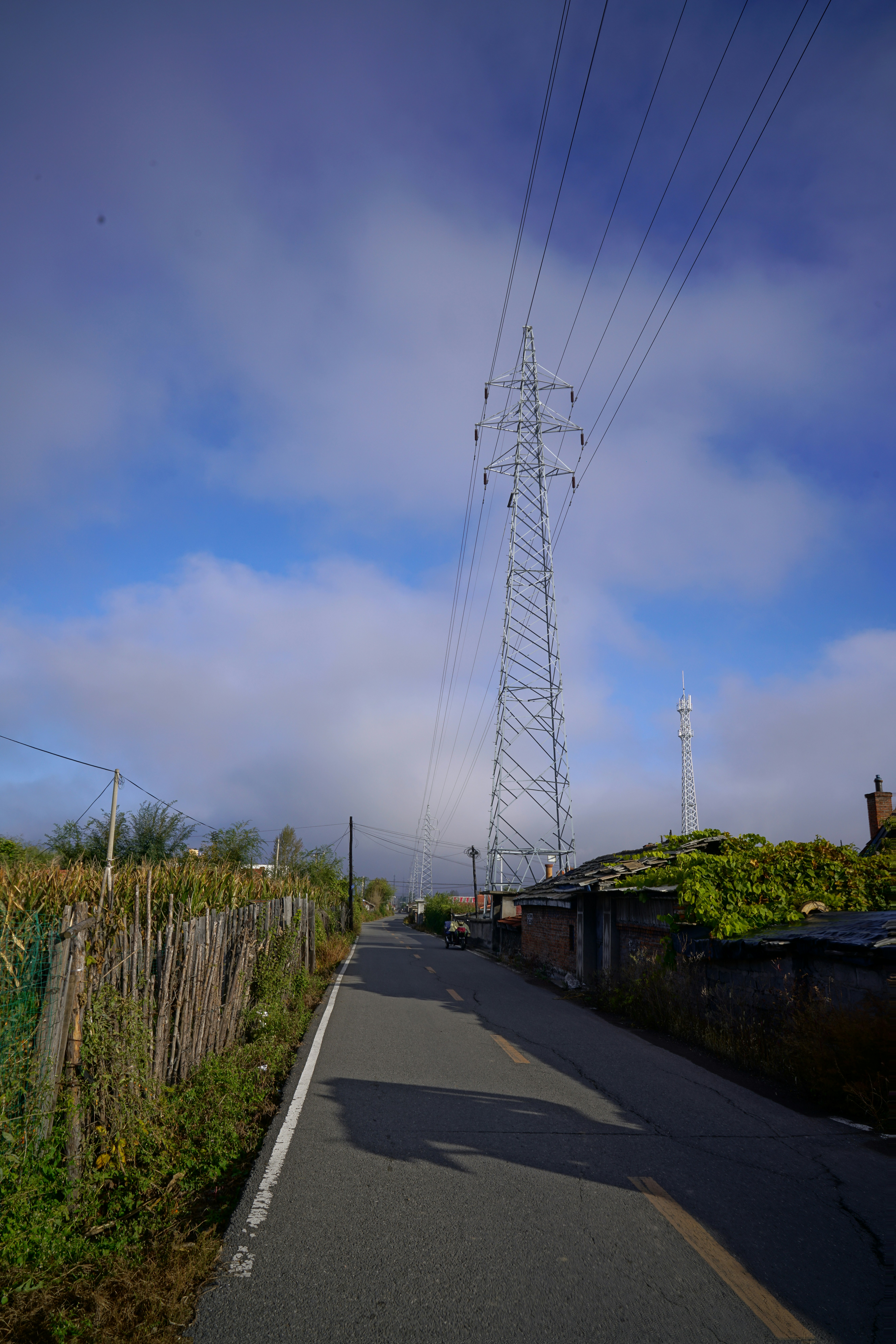 Lattice Over the Lane: A Rural Road Framed by Towering Wires