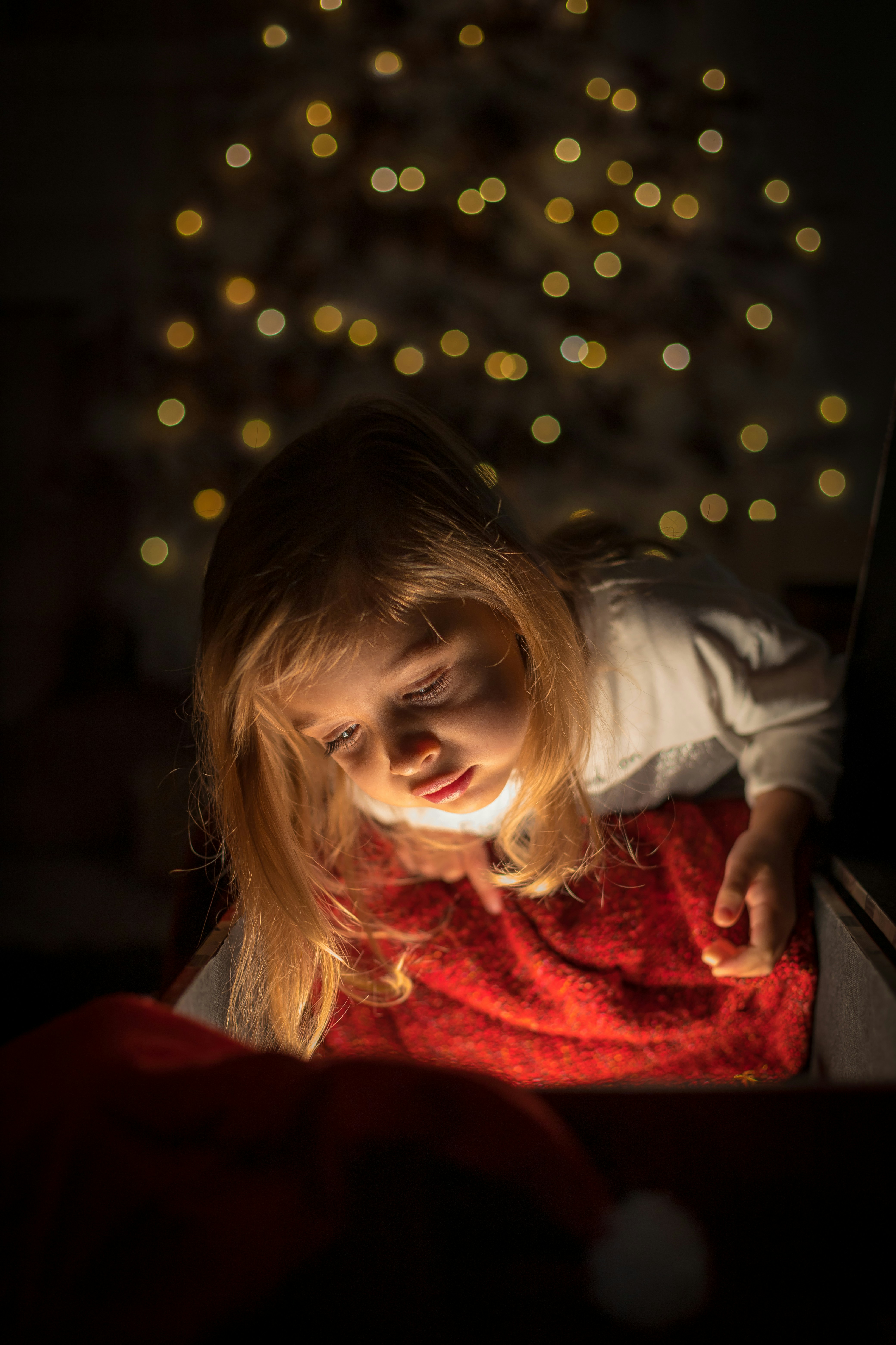 Twilight Curiosity at the Christmas Chest