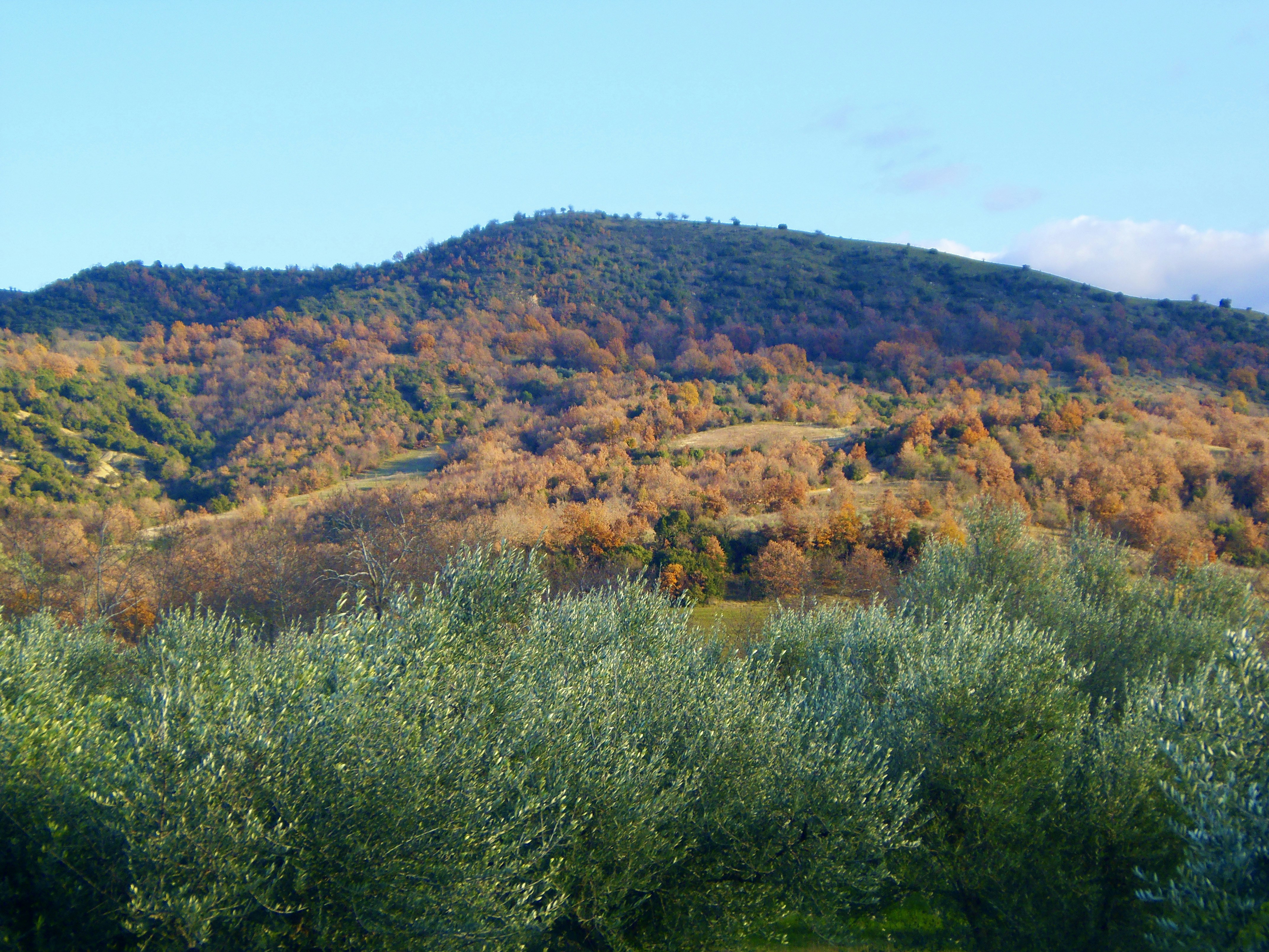 Rolling hills covered in autumn foliage beneath a clear blue sky.
