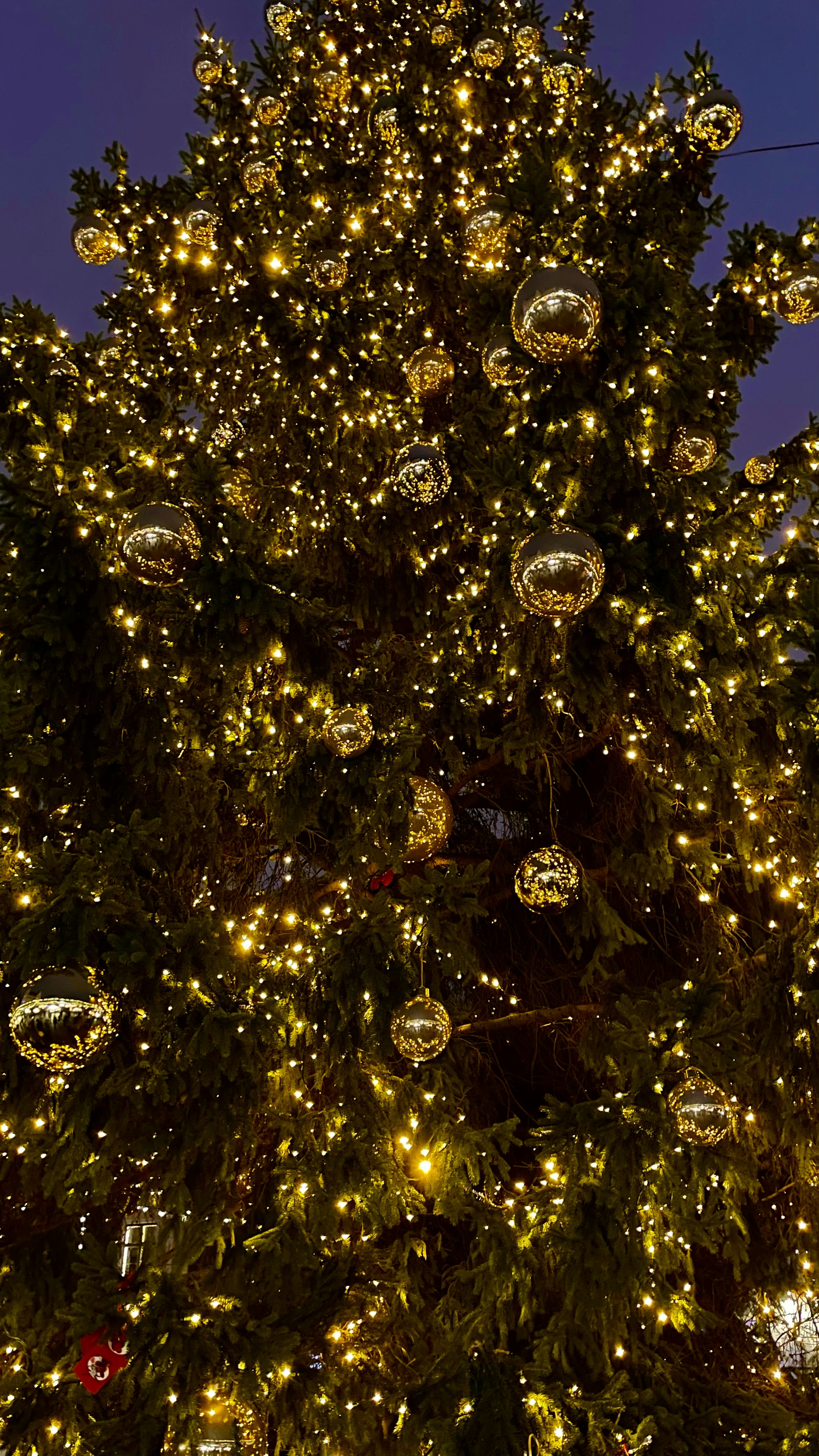 A beautifully adorned Christmas tree sparkling with golden ornaments and twinkling lights against a twilight sky.