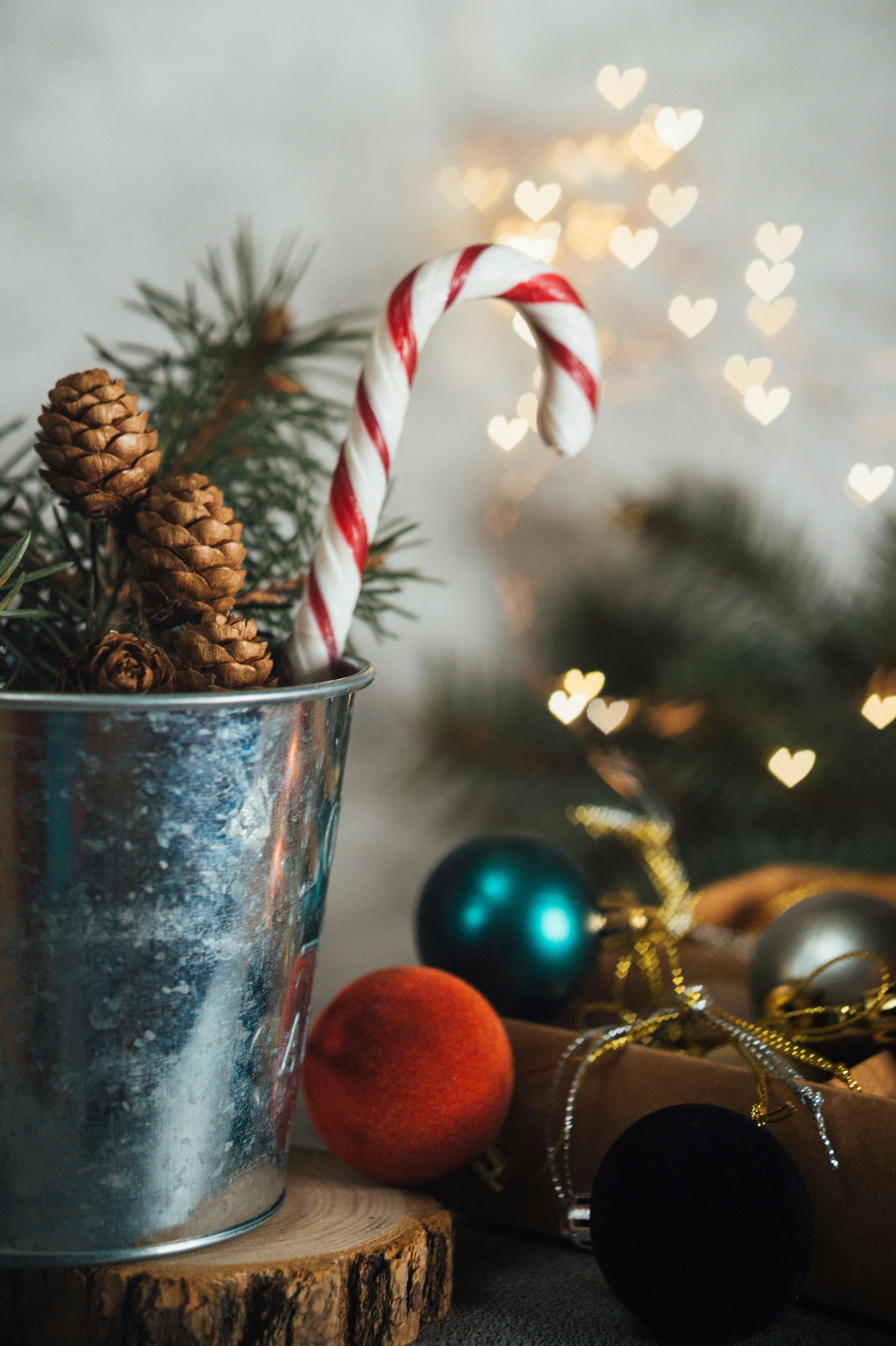 Red and white candy cane on stainless steel bucket photo – Free Plant ...