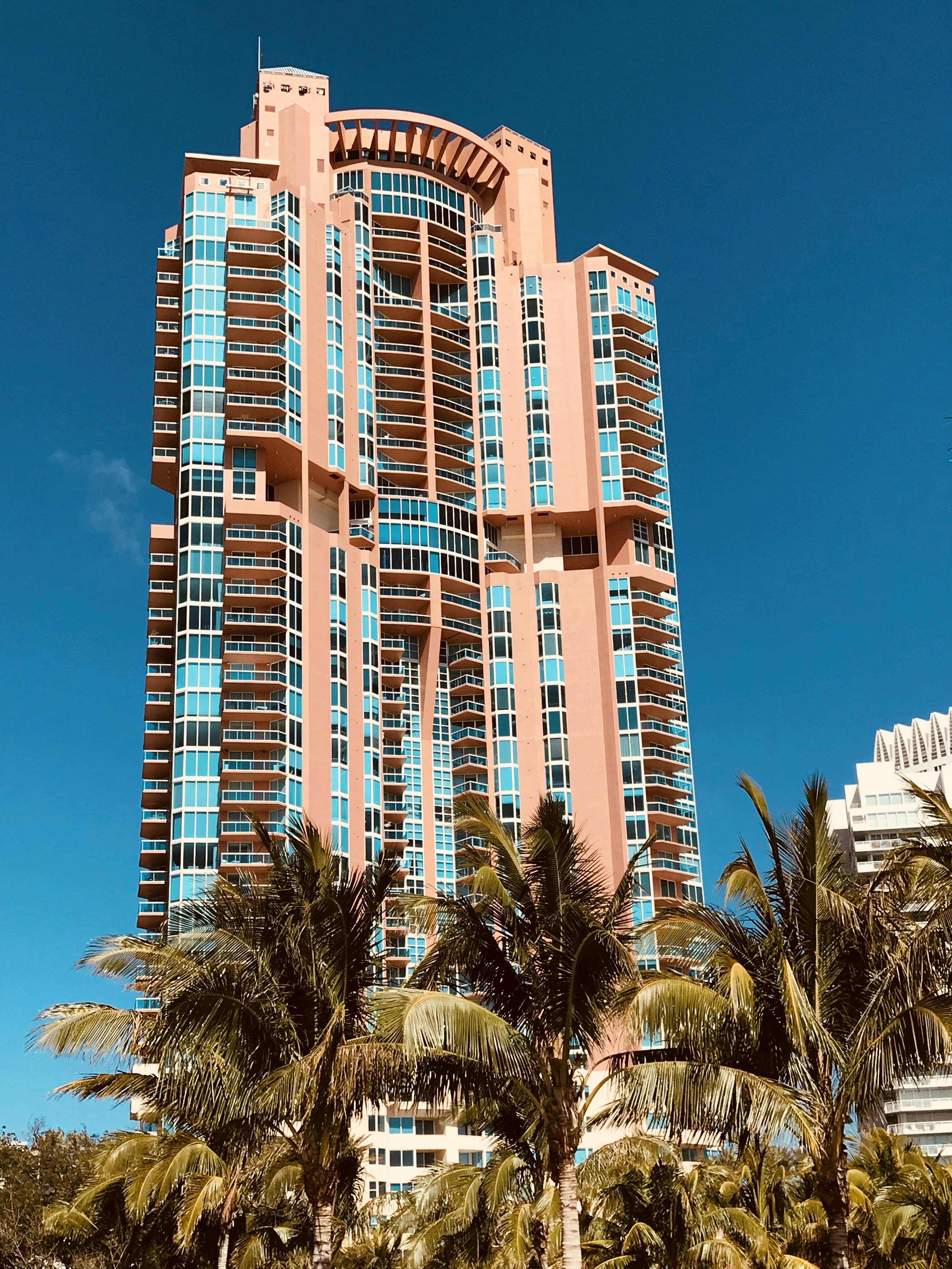 Tall pink residential building surrounded by lush palm trees against a clear blue sky.