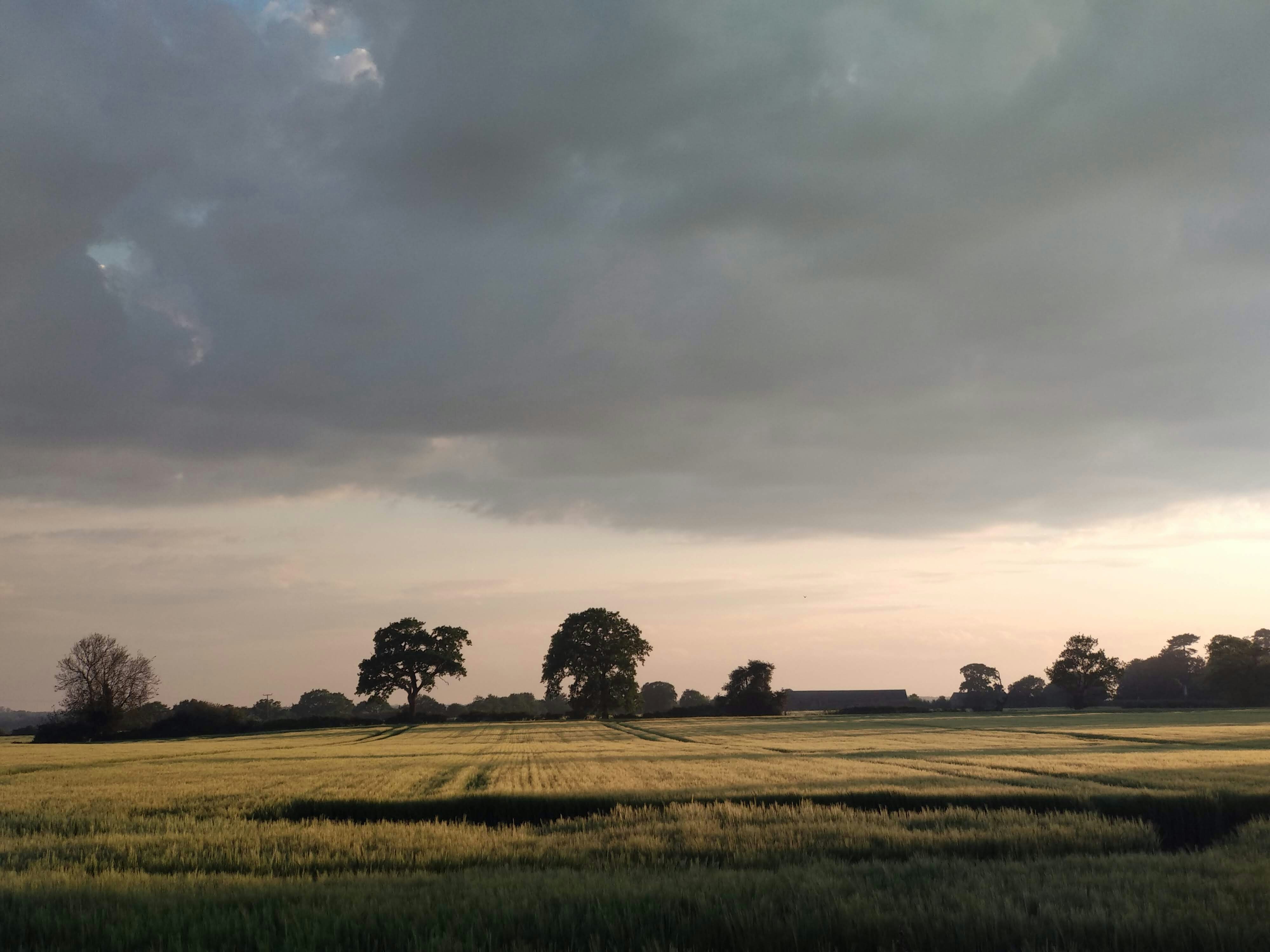 Sunlit fields with scattered trees under a dramatic, cloudy sky.