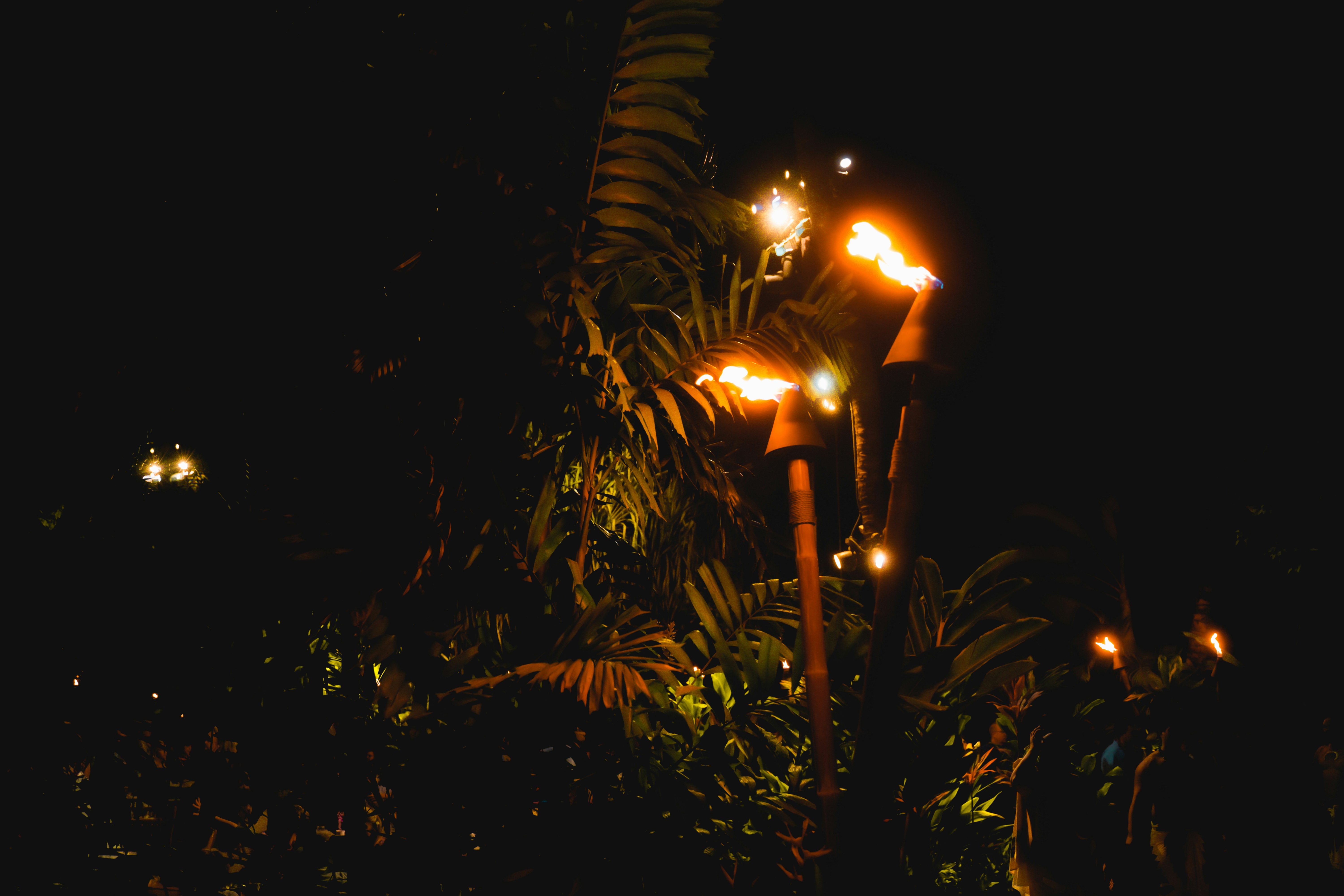 Coco Palms Torch Lighting Ceremony Pictures | Download Free Images on ...