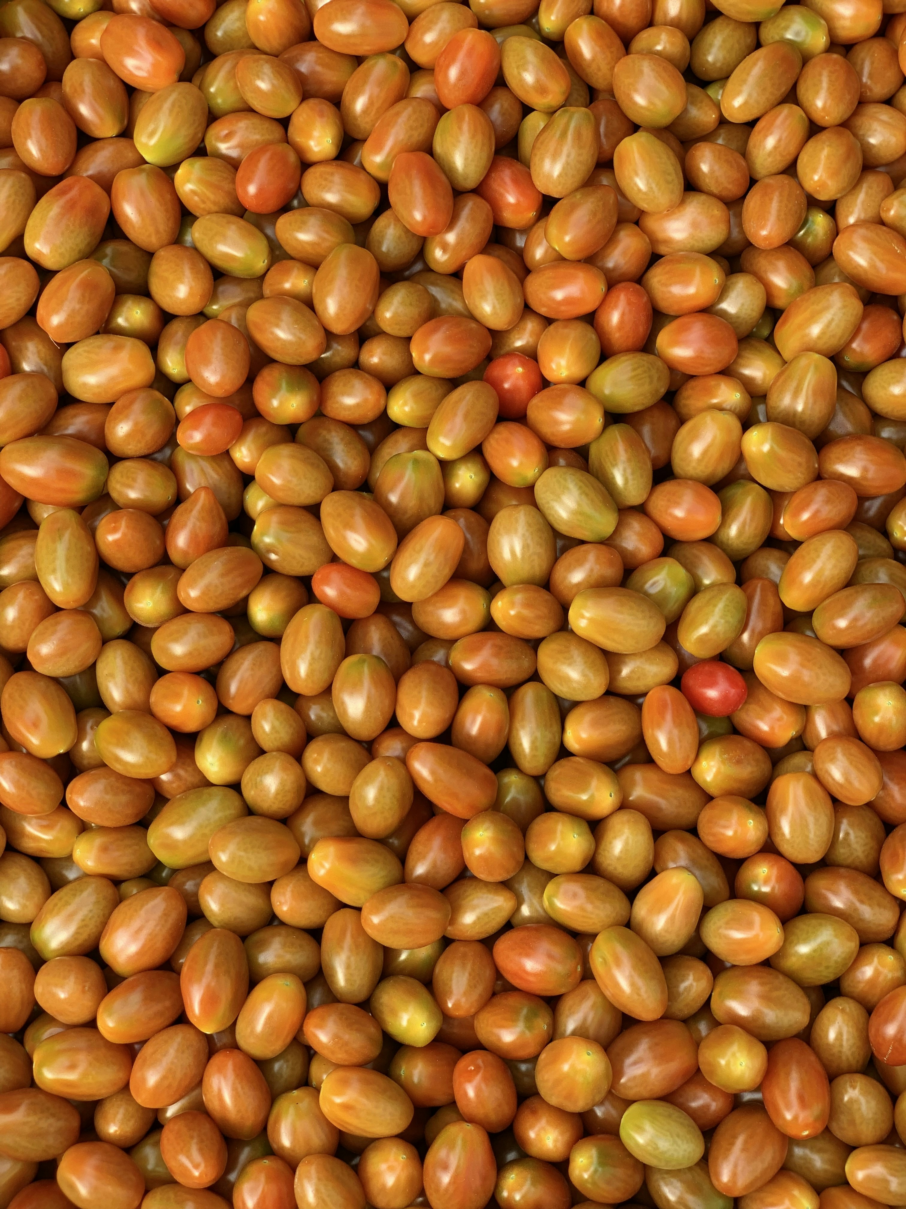 Fruits ronds bruns et jaunes photo – Photo Plante Gratuite sur Unsplash