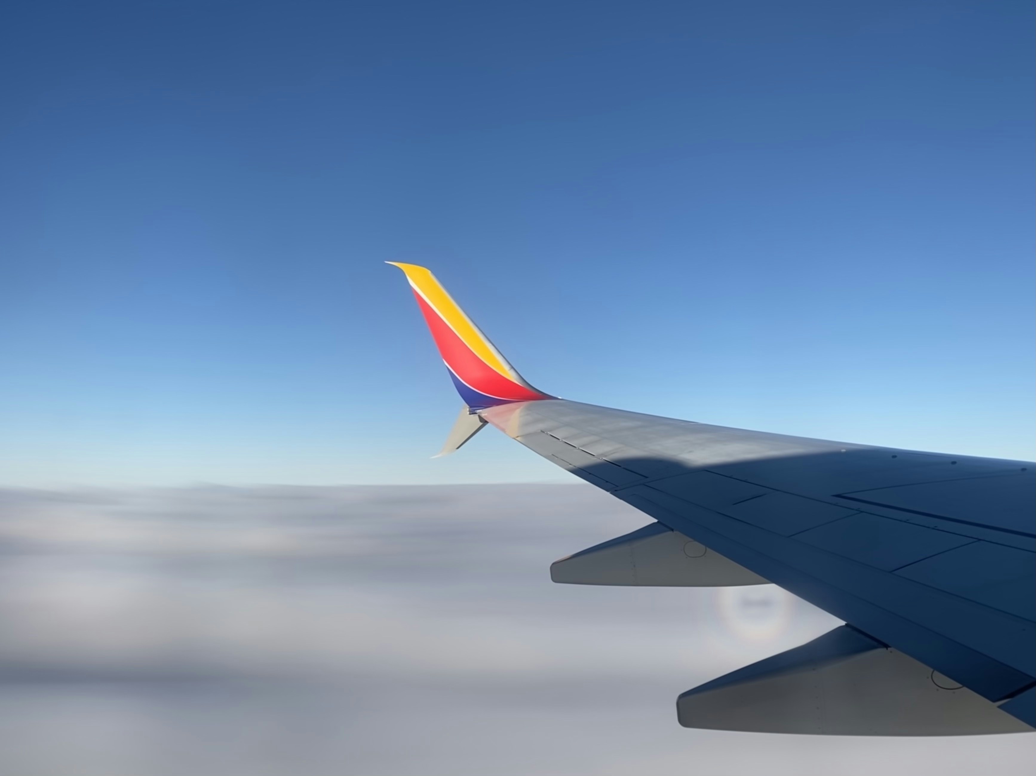 Winged Journey Above the Horizon