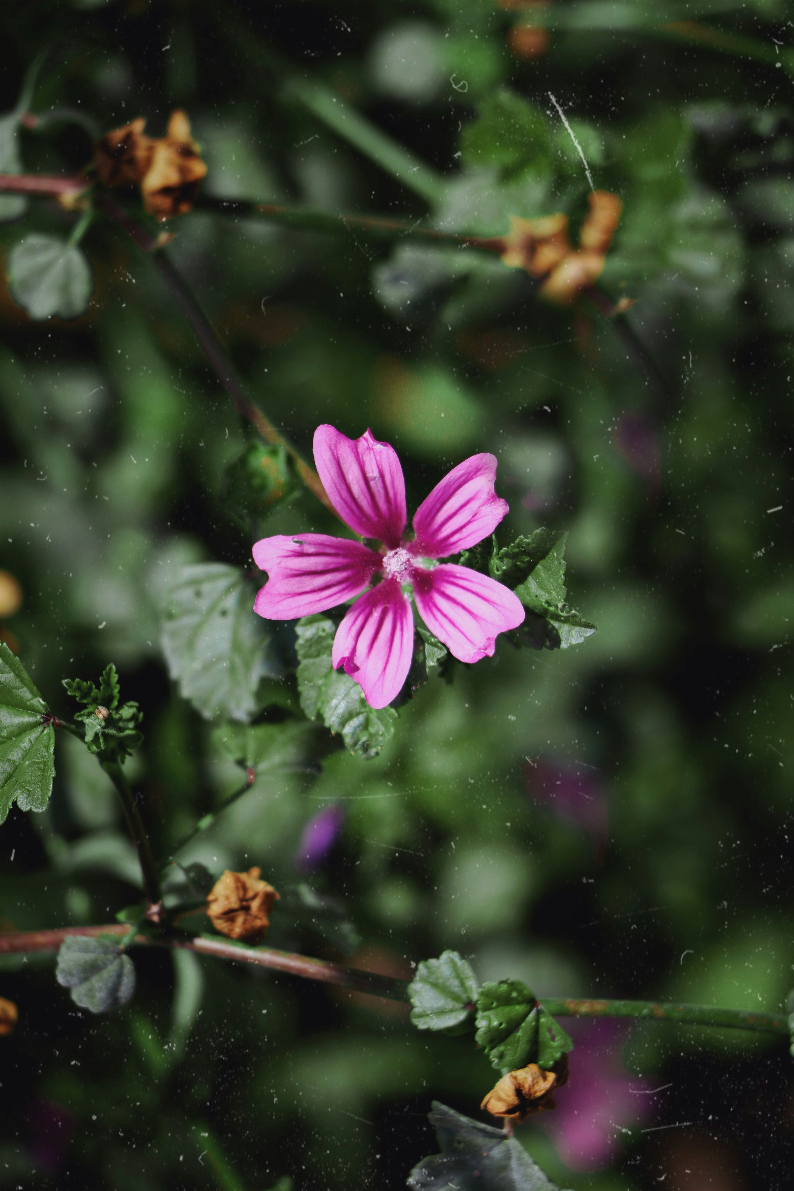 Sdf Rahbar (@sdfrahbar) | Unsplashフォトコミュニティ