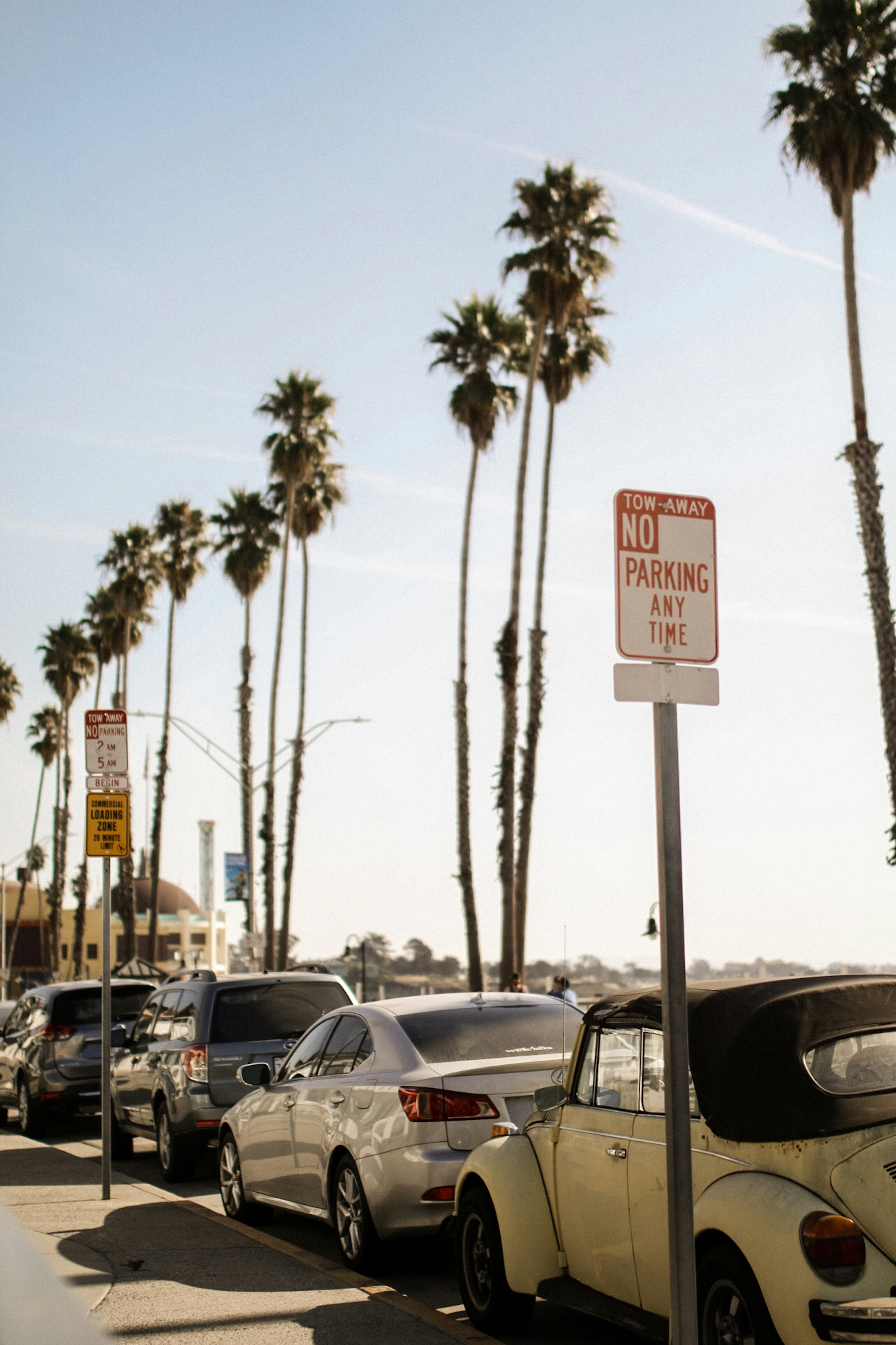 Cars parked on parking lot during daytime photo – Free Car Image on ...