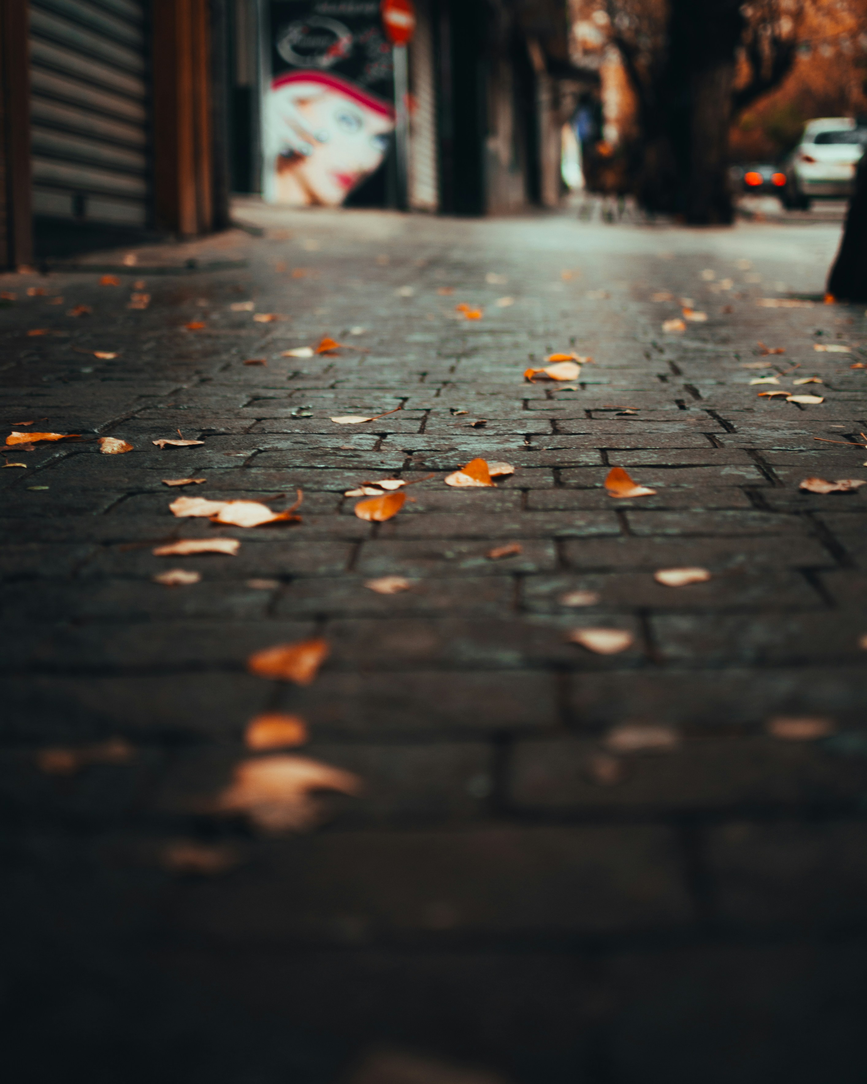 Scattered autumn leaves blanket a cobblestone path in a quiet urban setting, hinting at the seasonal transition. The scene captures the serene ambiance of a city in fall.