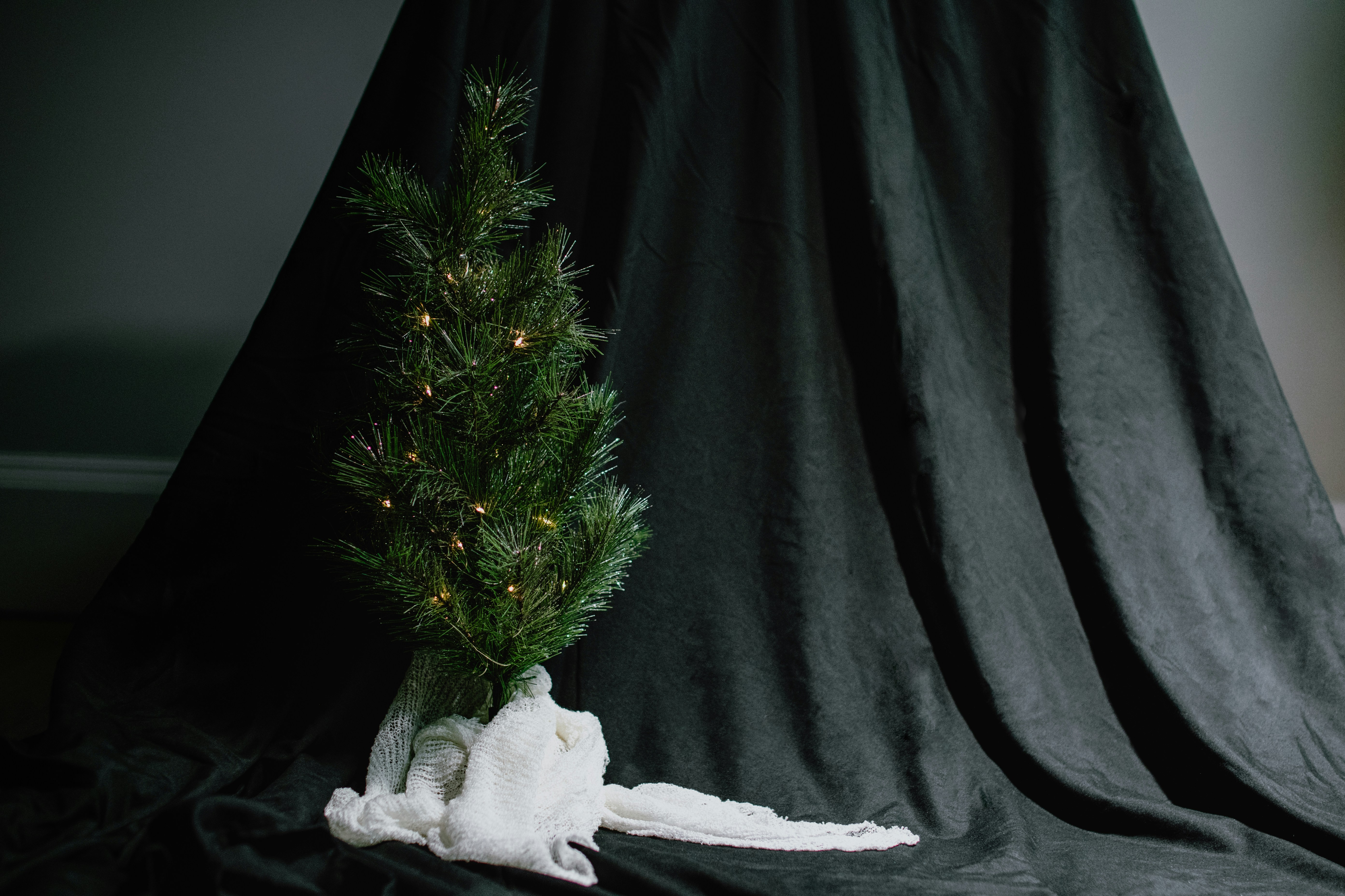 Small artificial Christmas tree adorned with soft lights, set against a dark backdrop with a white blanket at the base.