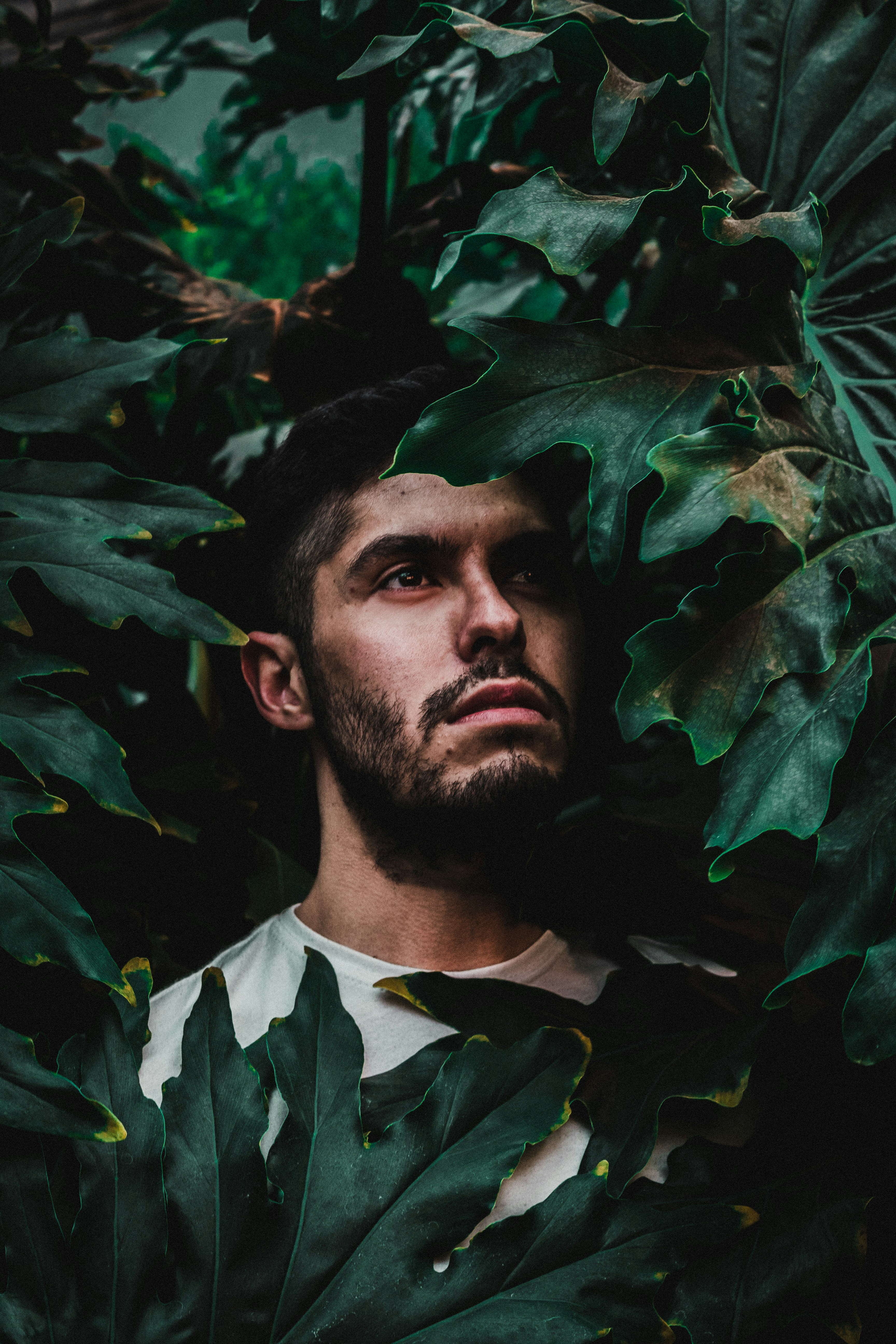 Gaze Through the Green Veil: A Portrait Emerges from Jungle Foliage