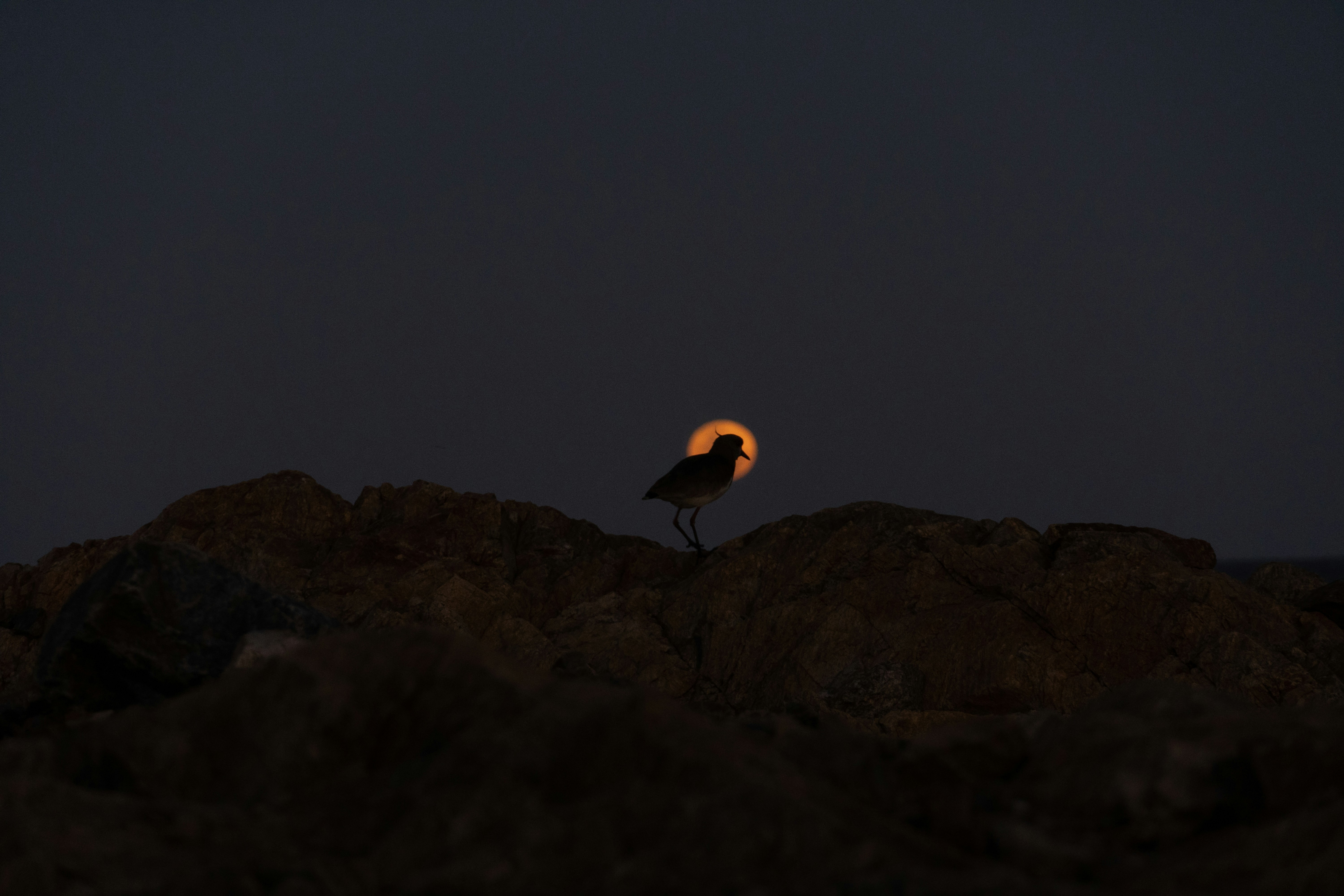 Haloed Silhouette on Ragged Rocks at Dusk