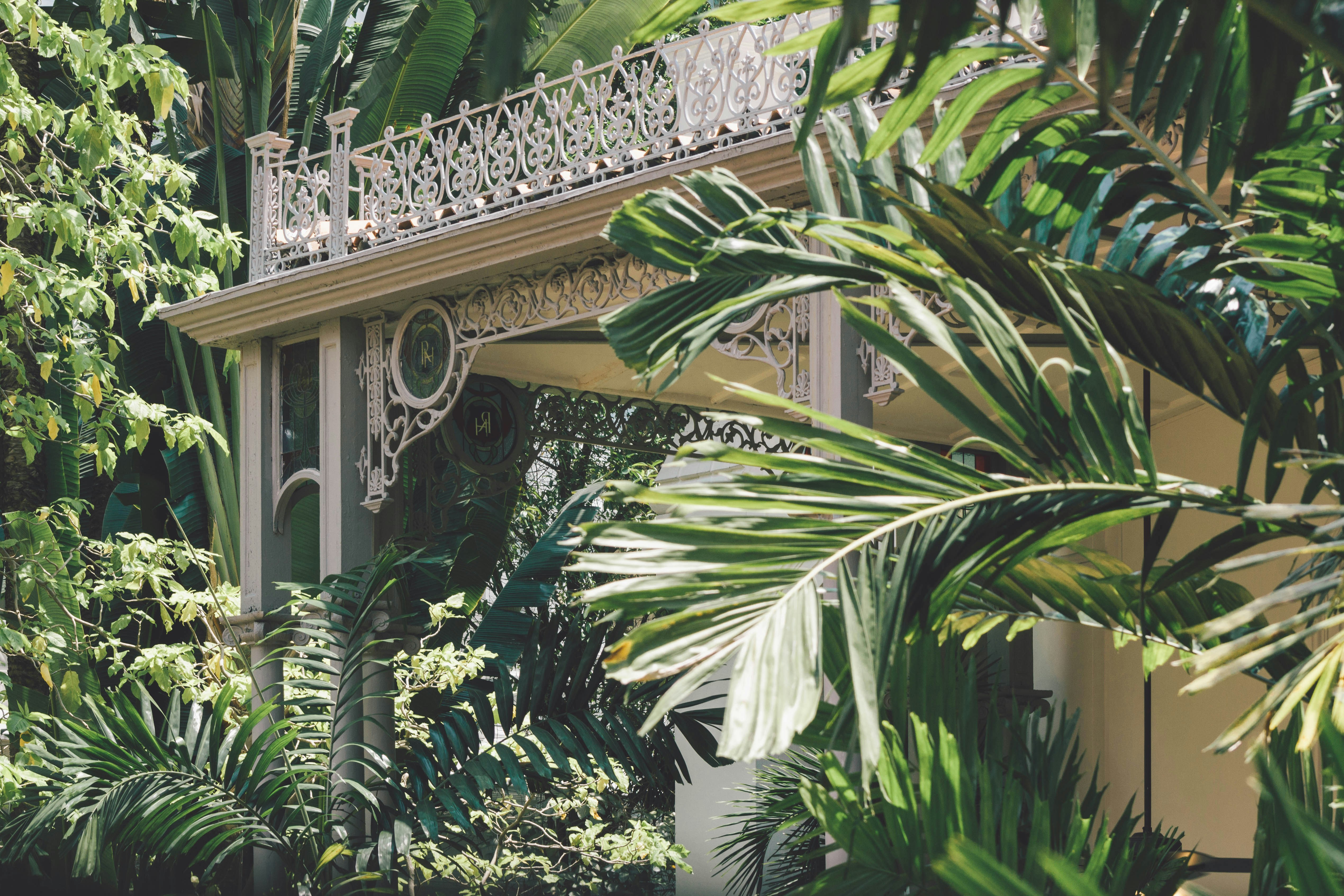 Intricate ironwork balcony framed by lush green foliage in a tropical setting.