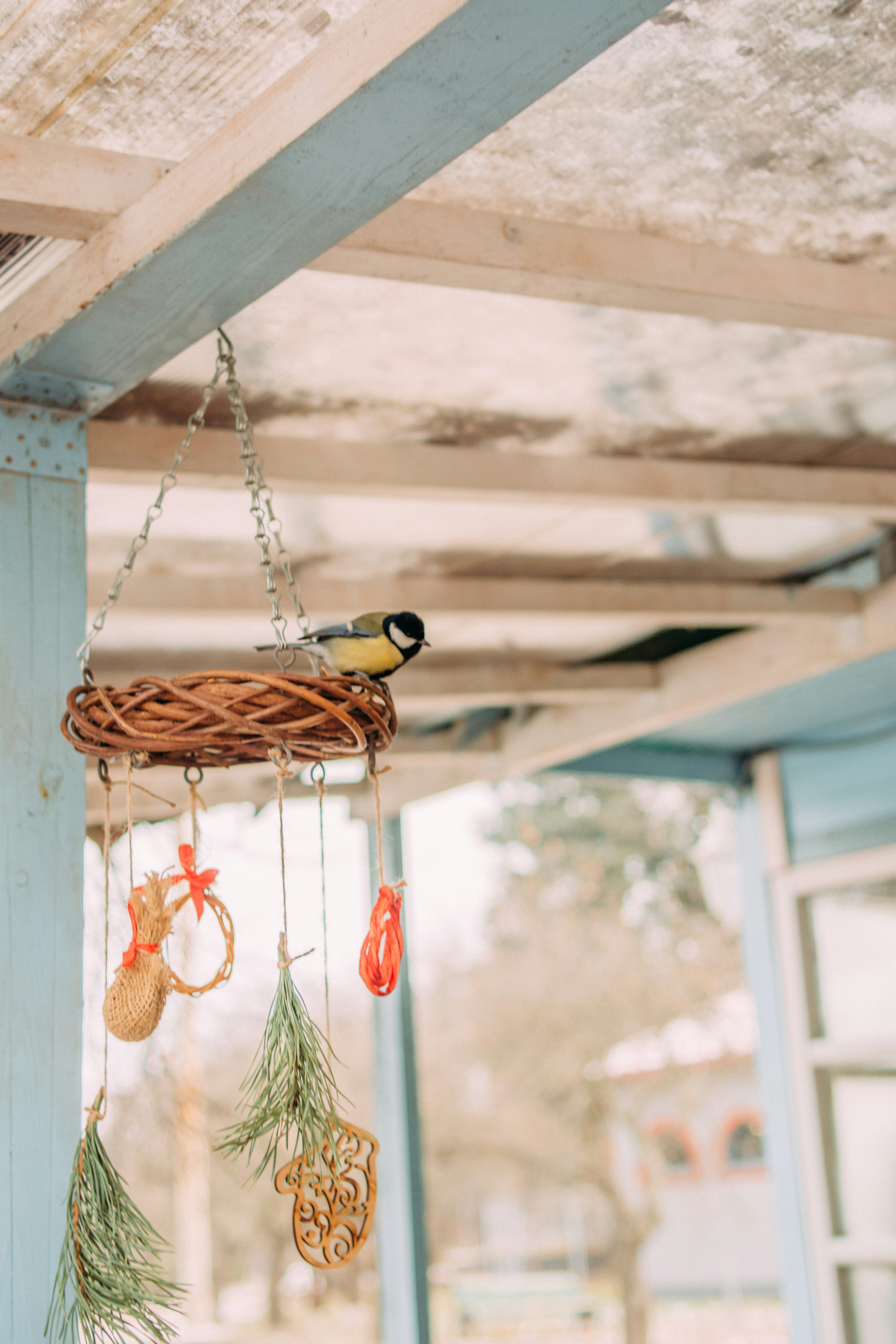 Tiny Bird, Woven Basket: A Quiet Moment Under Painted Beams