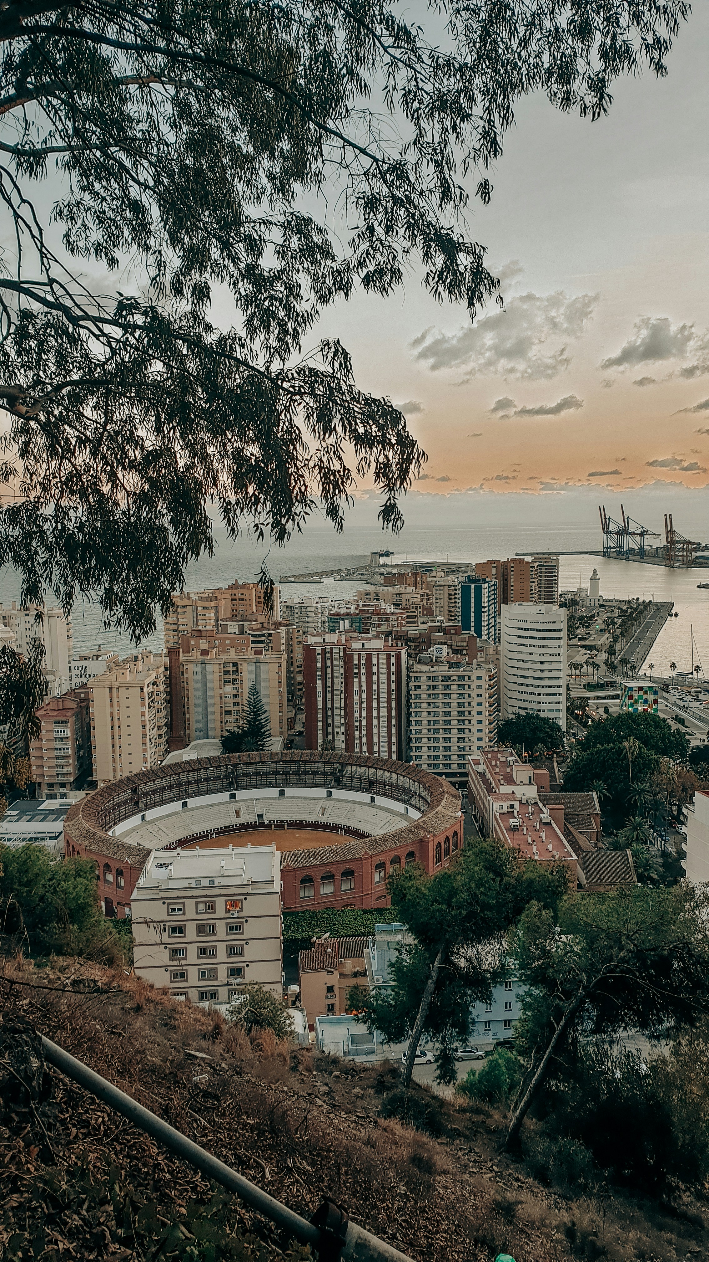 From the Viewpoint | high rise buildings near body of water during daytime