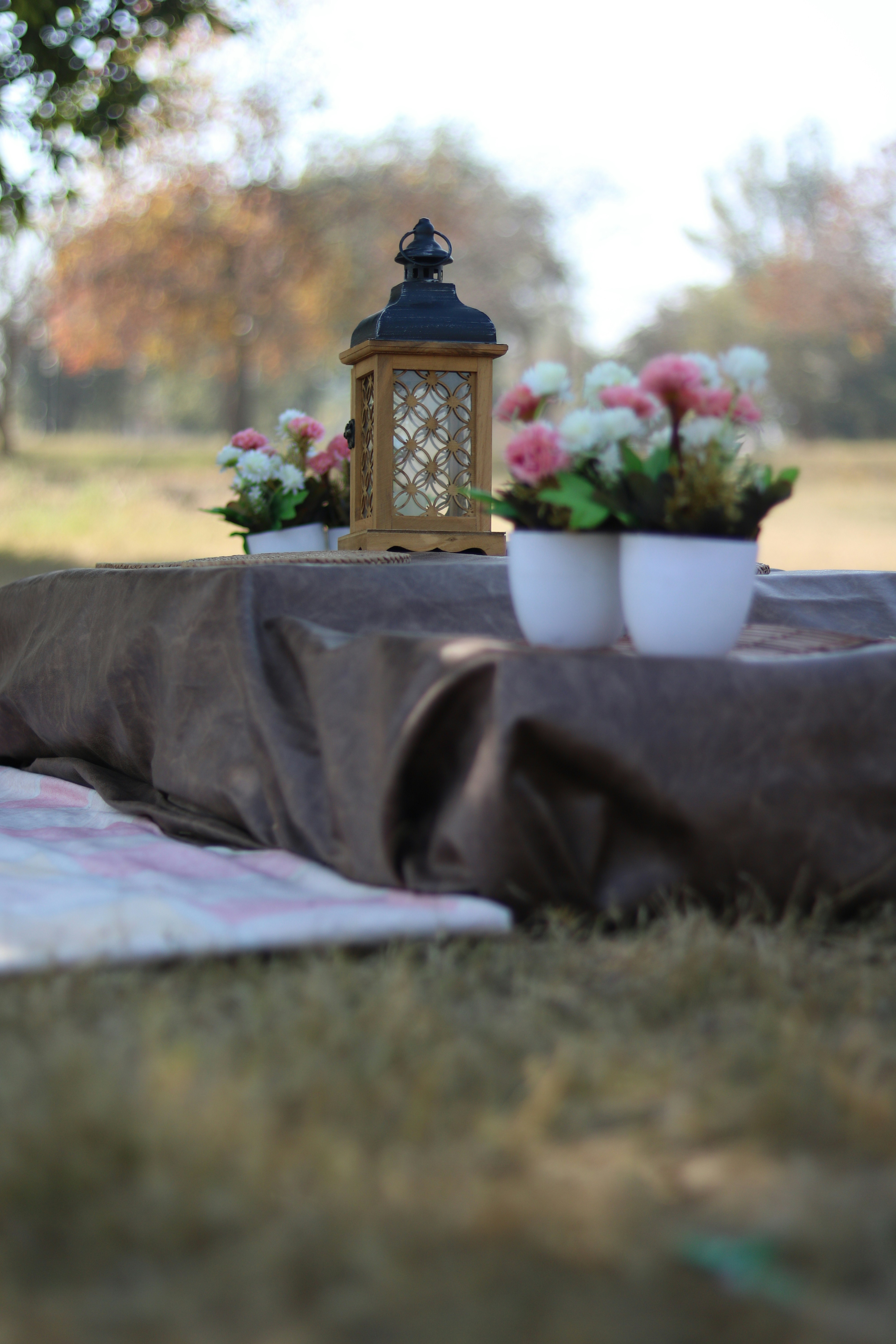 Lantern centerpiece among pastel blooms on a sunlit picnic setup