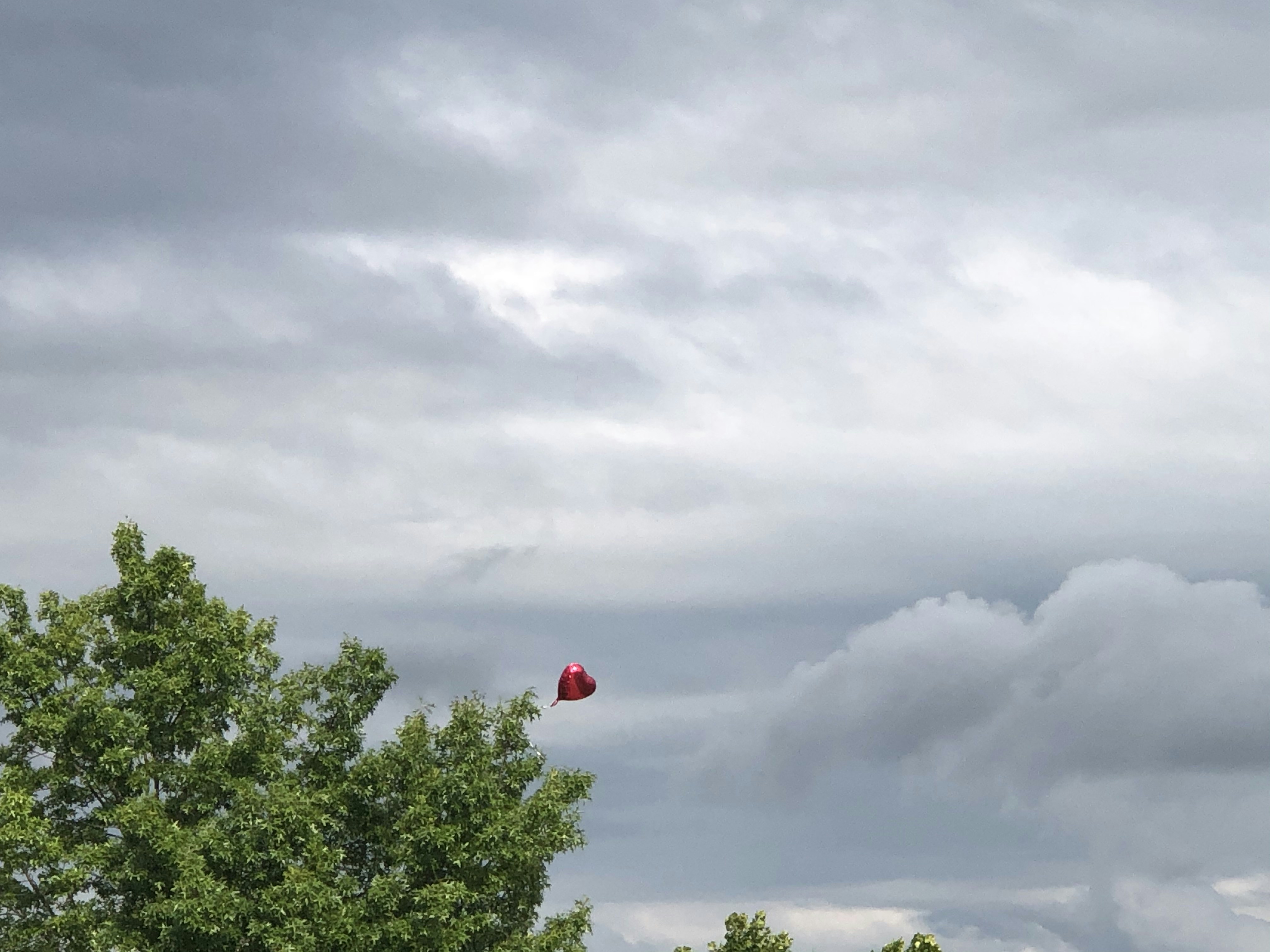 Red heart-shaped balloon floating against a backdrop of gray clouds and lush green trees.