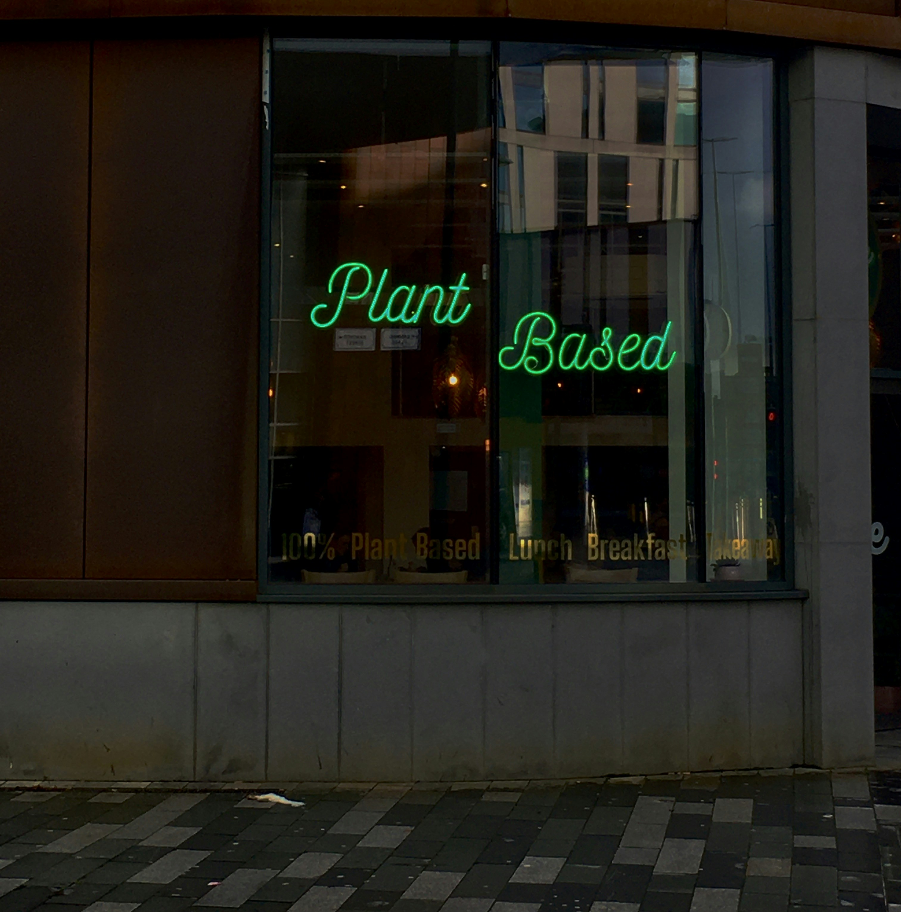 Neon Plant Based Script in a Quiet Night Window