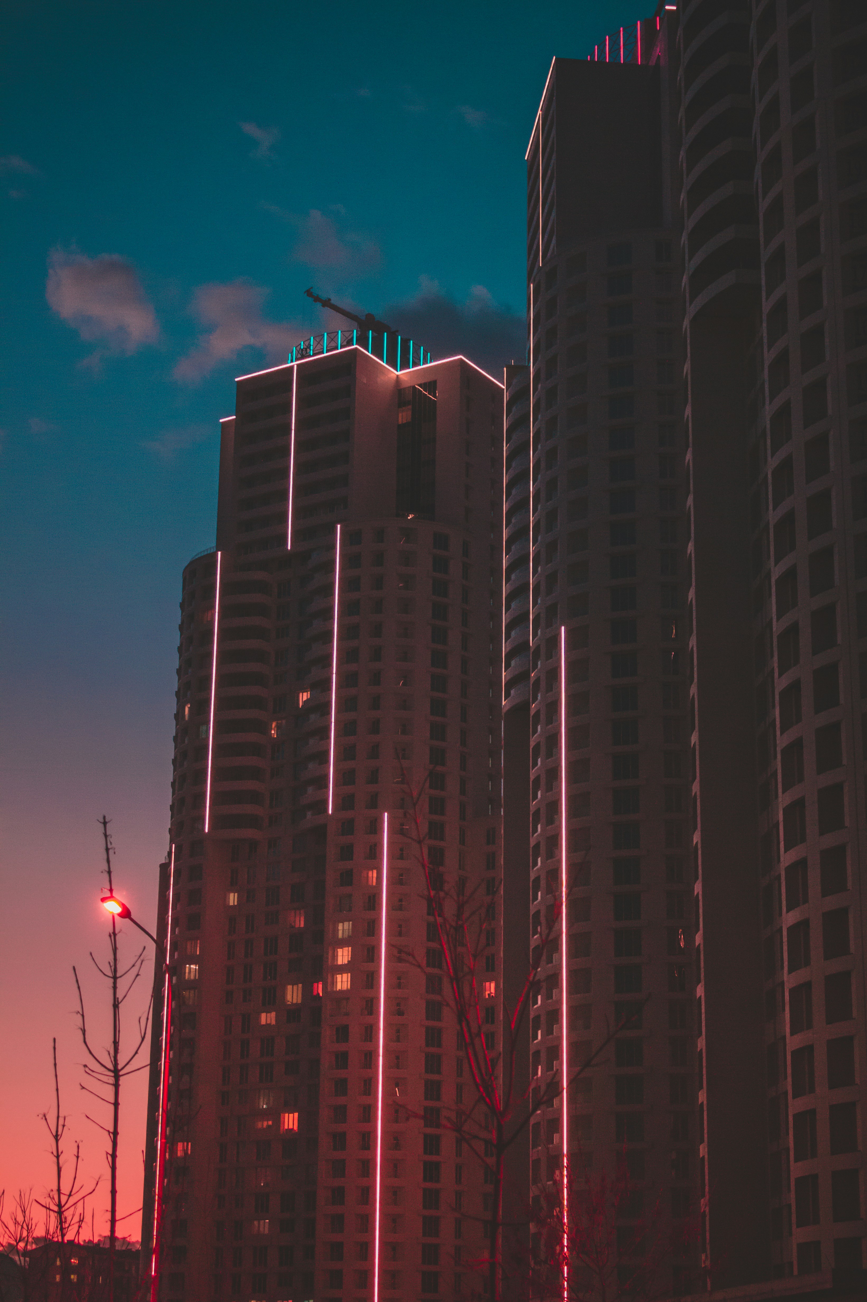 Modern skyscrapers adorned with vibrant neon lights under a twilight sky. The scene captures the urban landscape's dynamic energy.