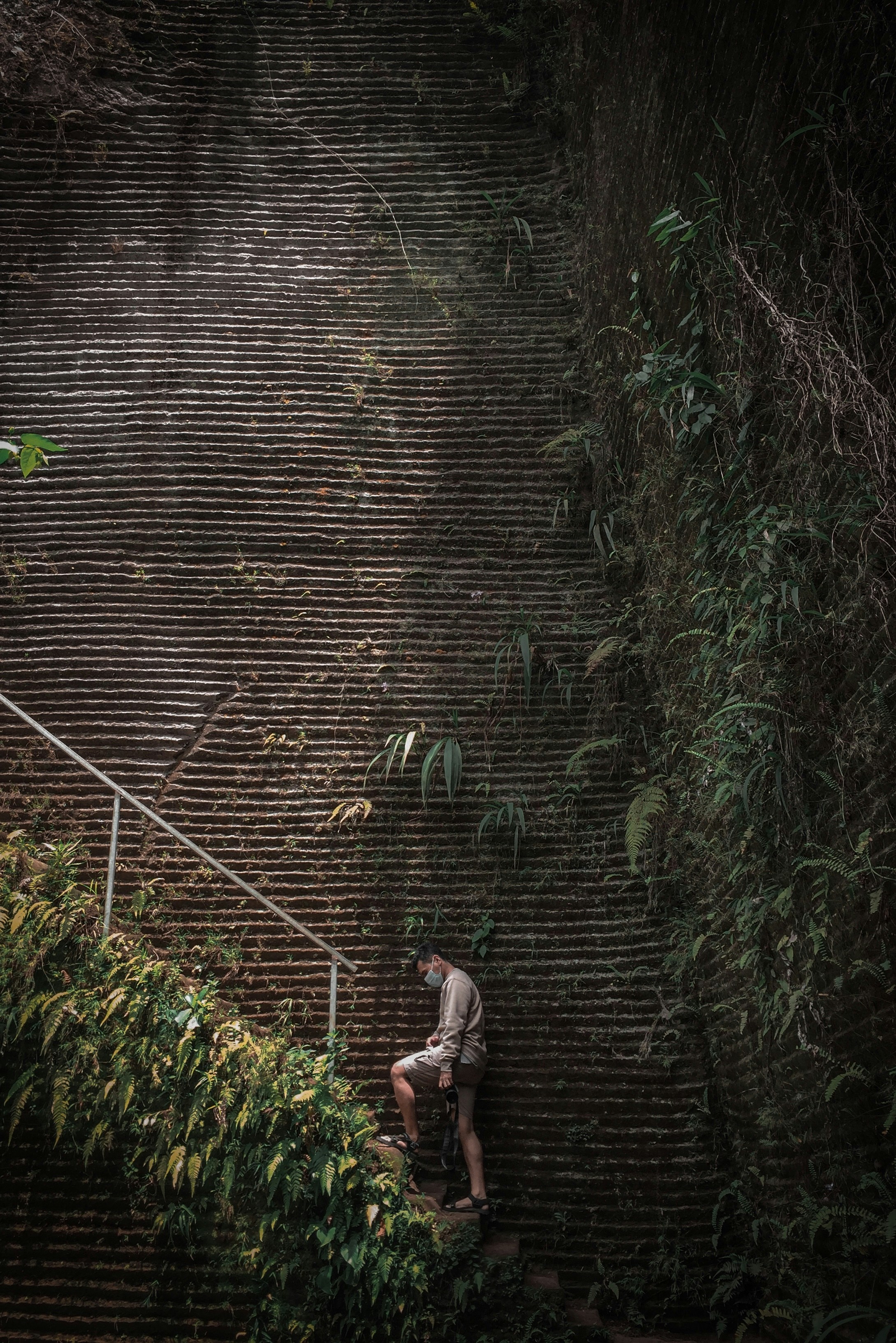 A person navigates a moss-covered staircase against a textured, natural backdrop, surrounded by lush greenery. The scene evokes a sense of adventure and tranquility.