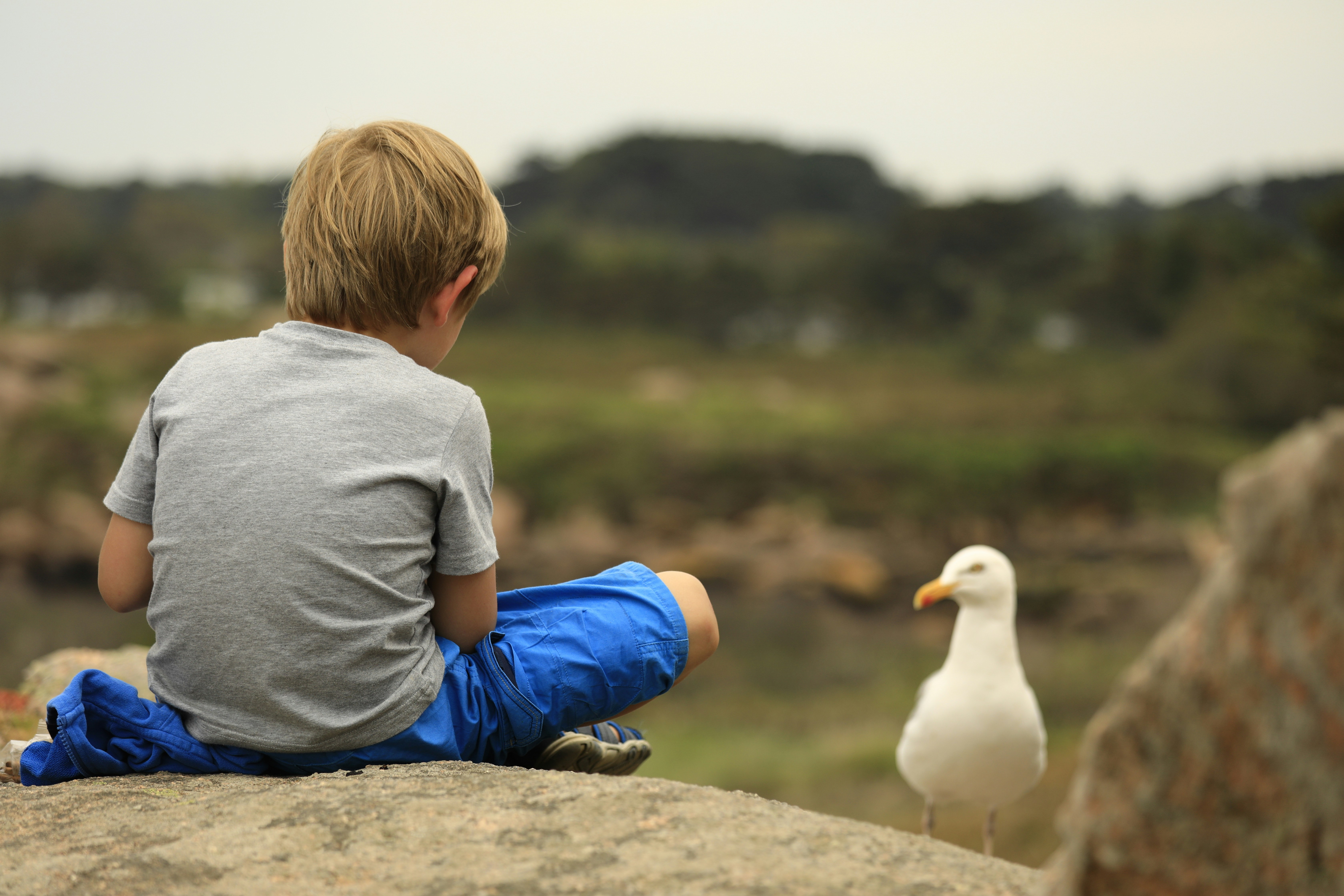 Quiet Ridge Moment: A Boy and a Seagull on the Shore