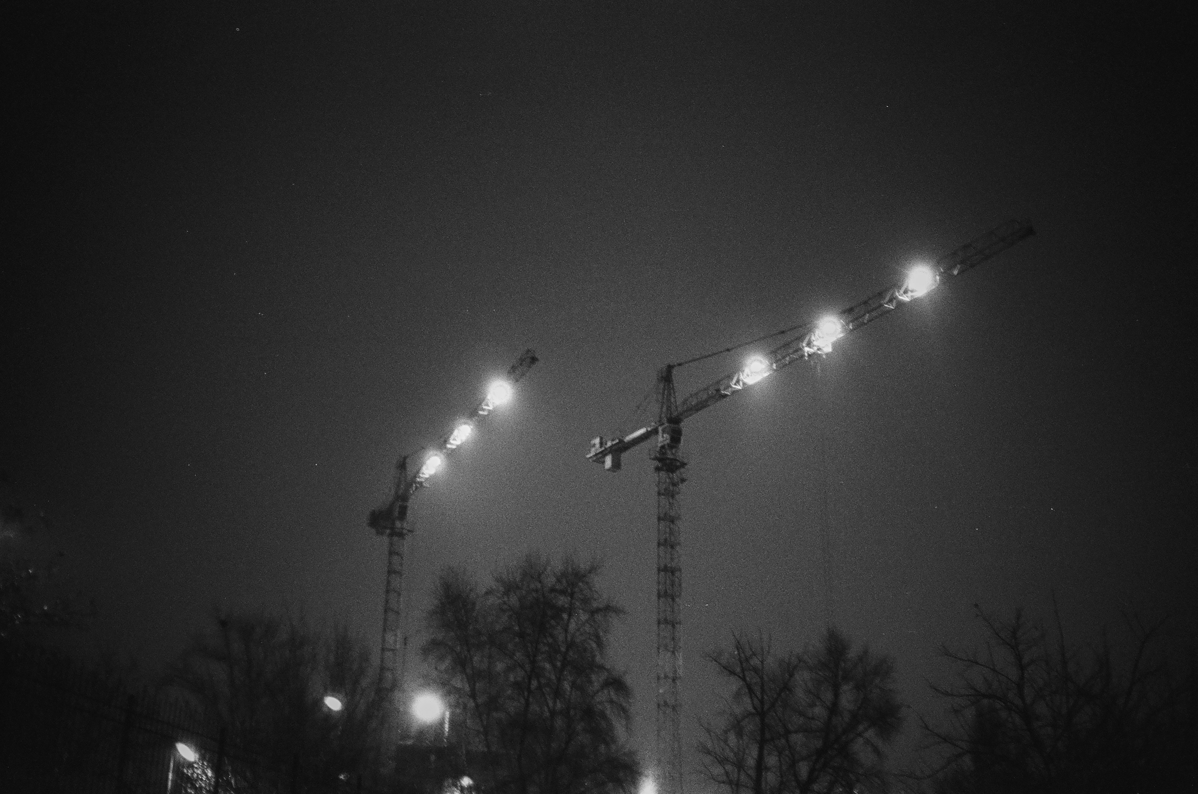 Two towering cranes stand against a night sky, their lights casting a glow on the surrounding trees. The scene captures the essence of urban construction and transformation.