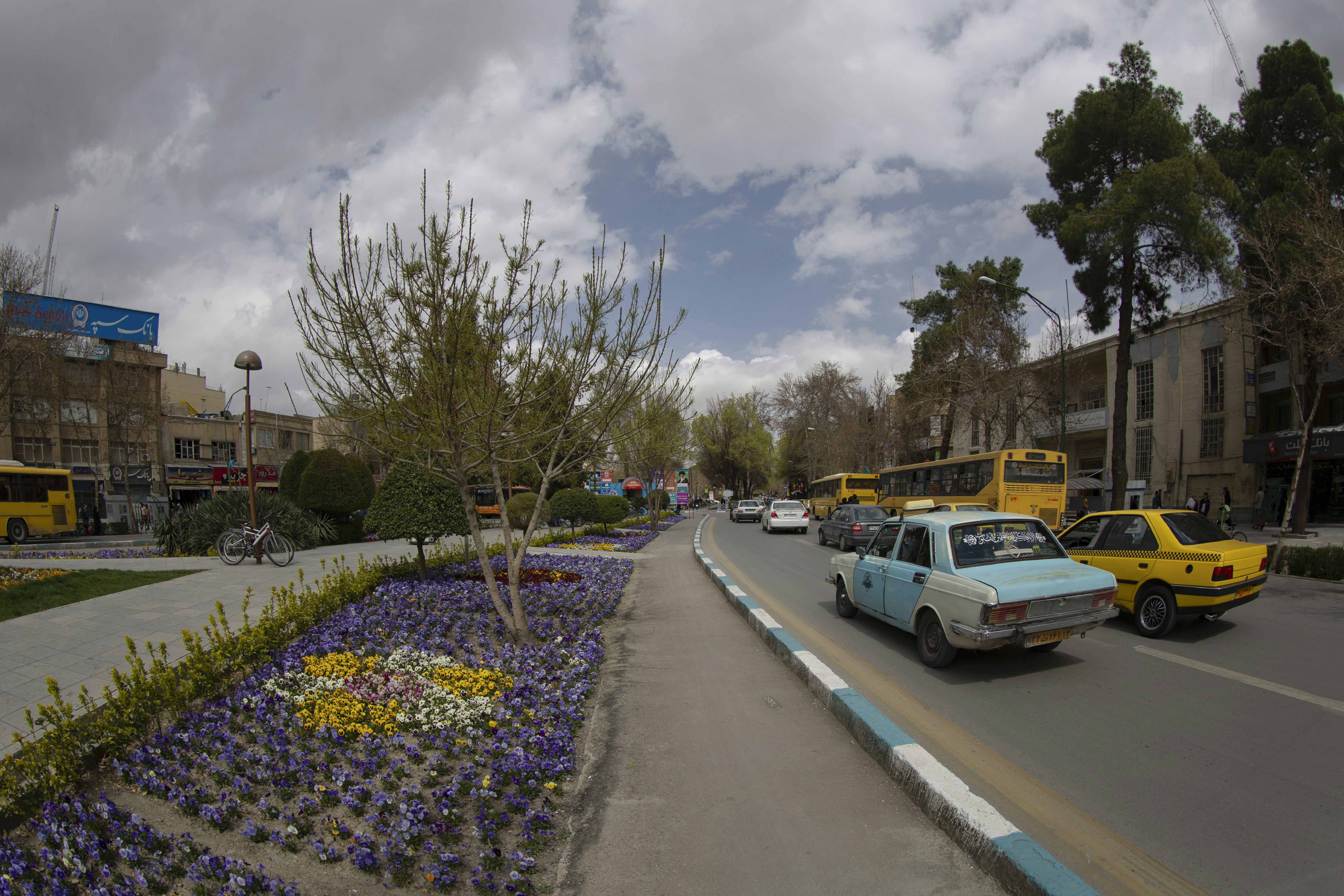 Awakening Boulevard: Colorful Cars and Flowered Median on a Busy Street