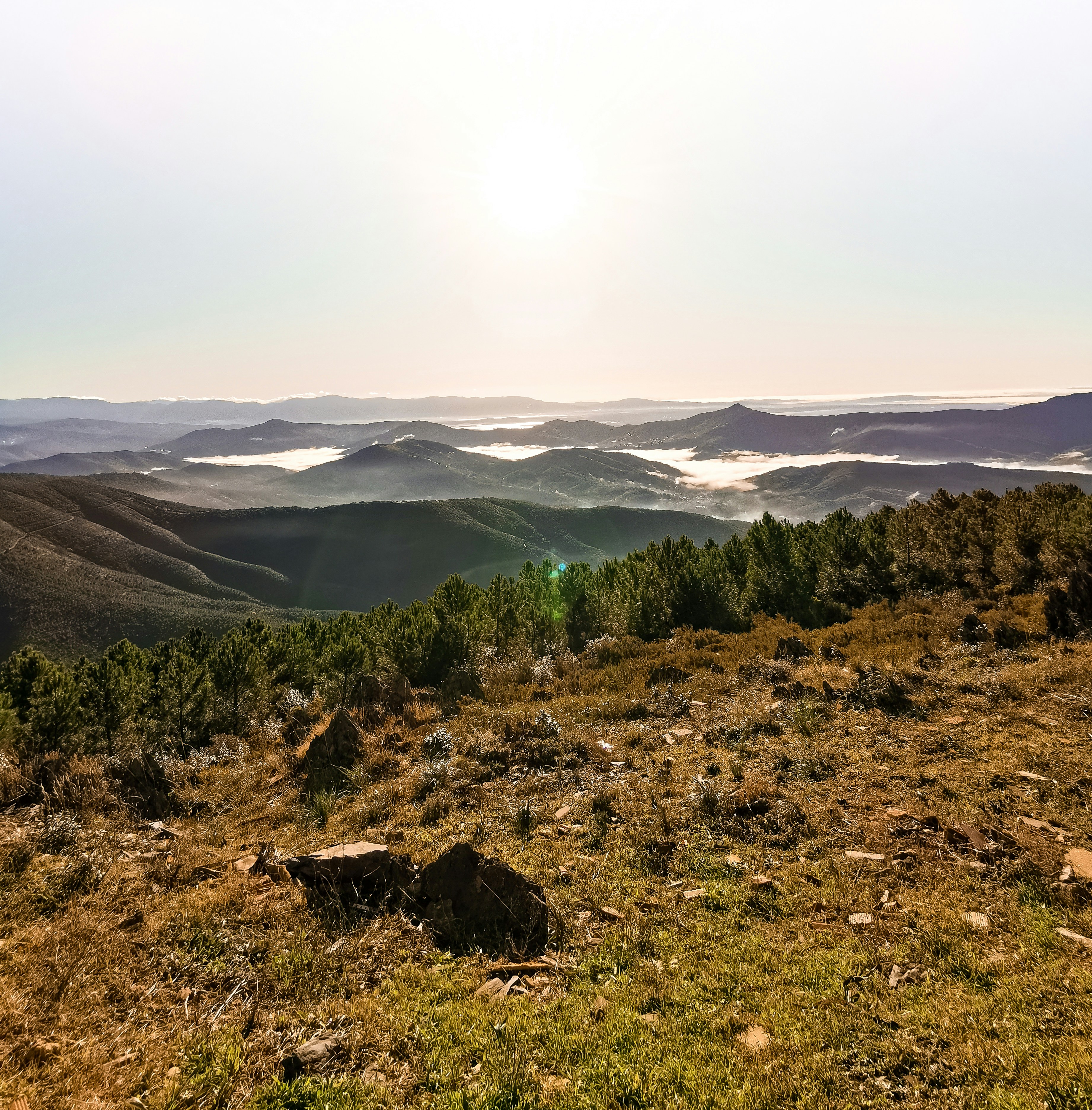 Morning Veil Over the Mountain Valleys