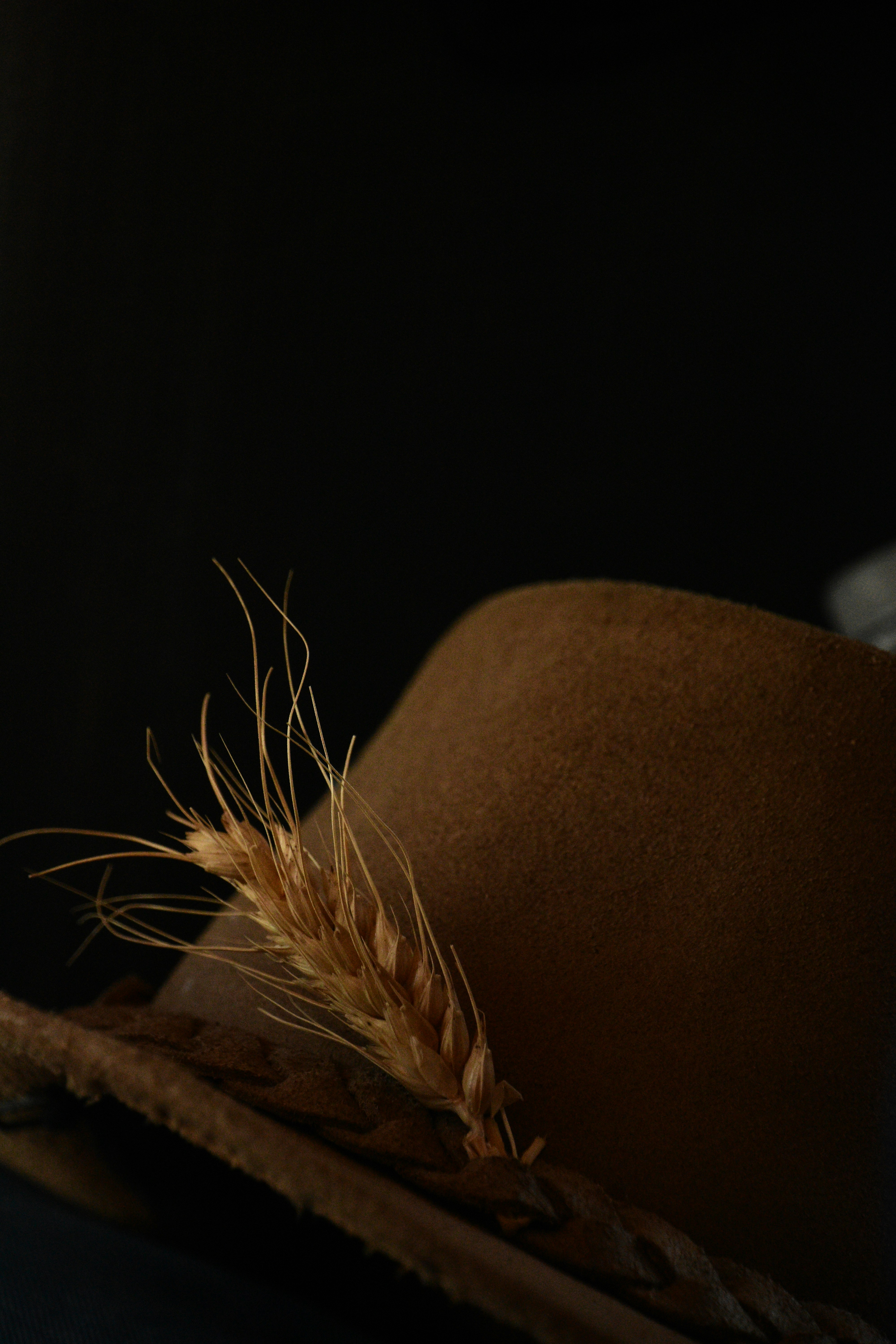 Wheat Fronds Rest on a Suede Hat in Low Light