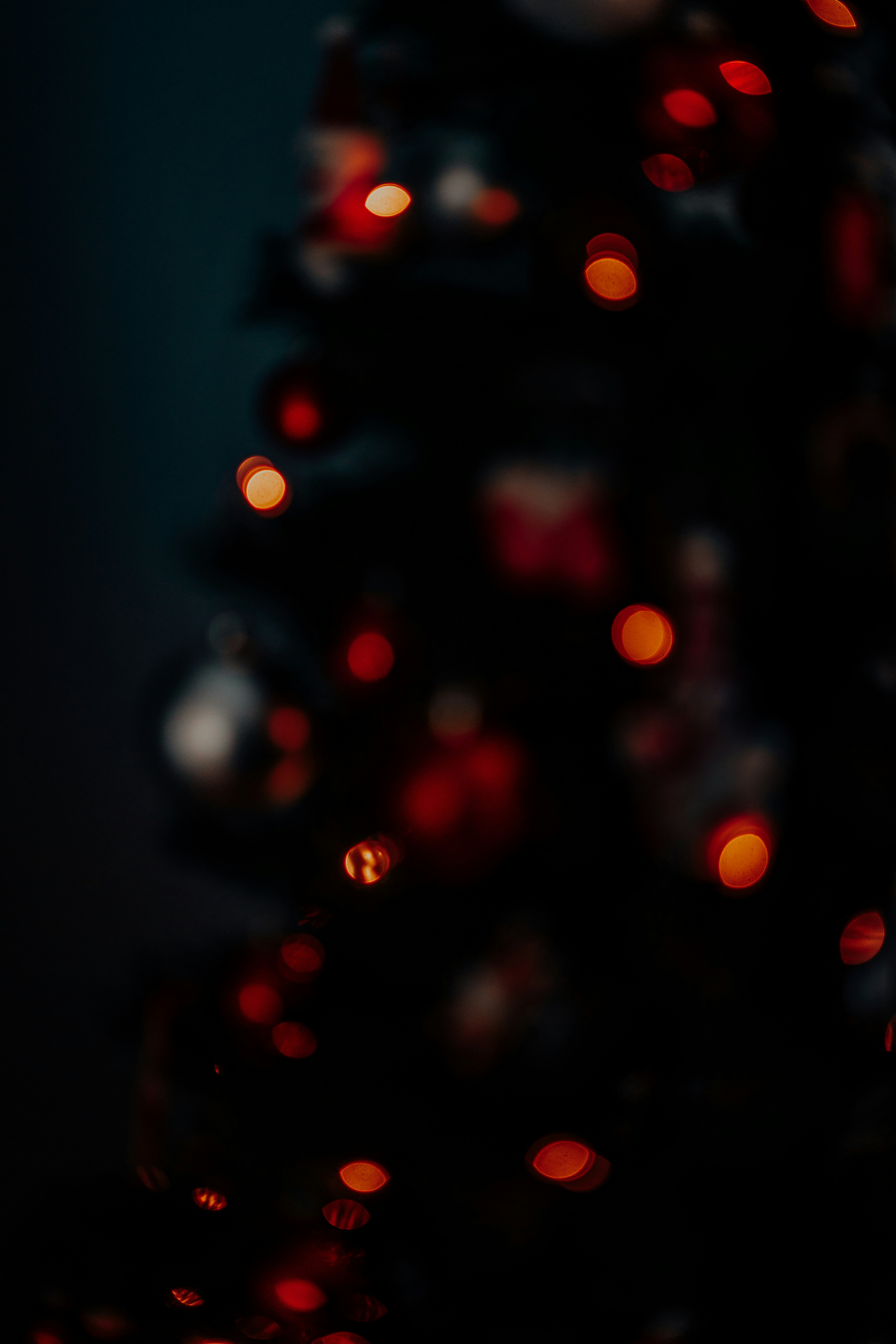 Red and yellow string lights photo – Free Plant Image on Unsplash