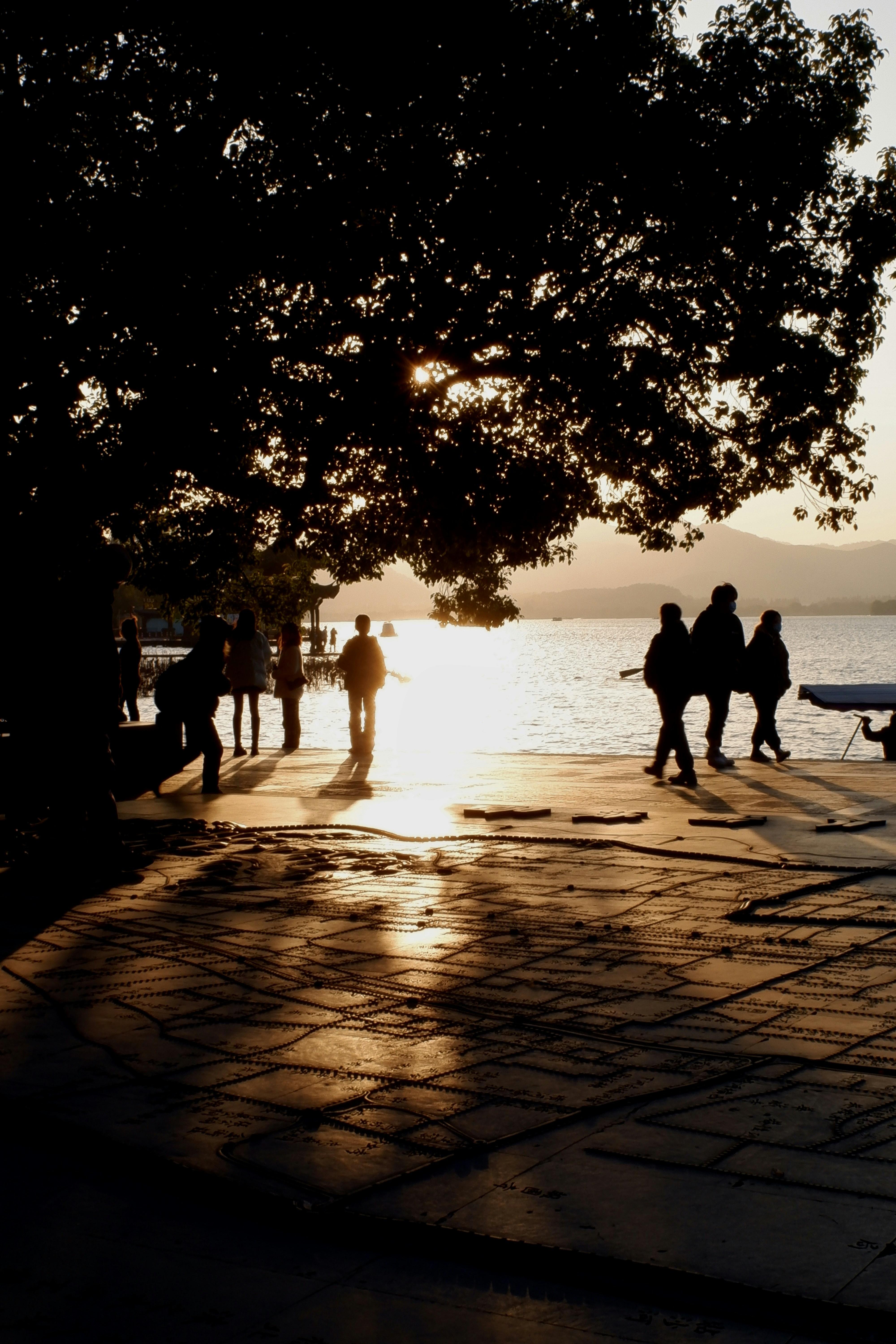 Silhouetted figures walking along a waterfront promenade at sunset, with reflections on the pavement and a large tree casting shadows.