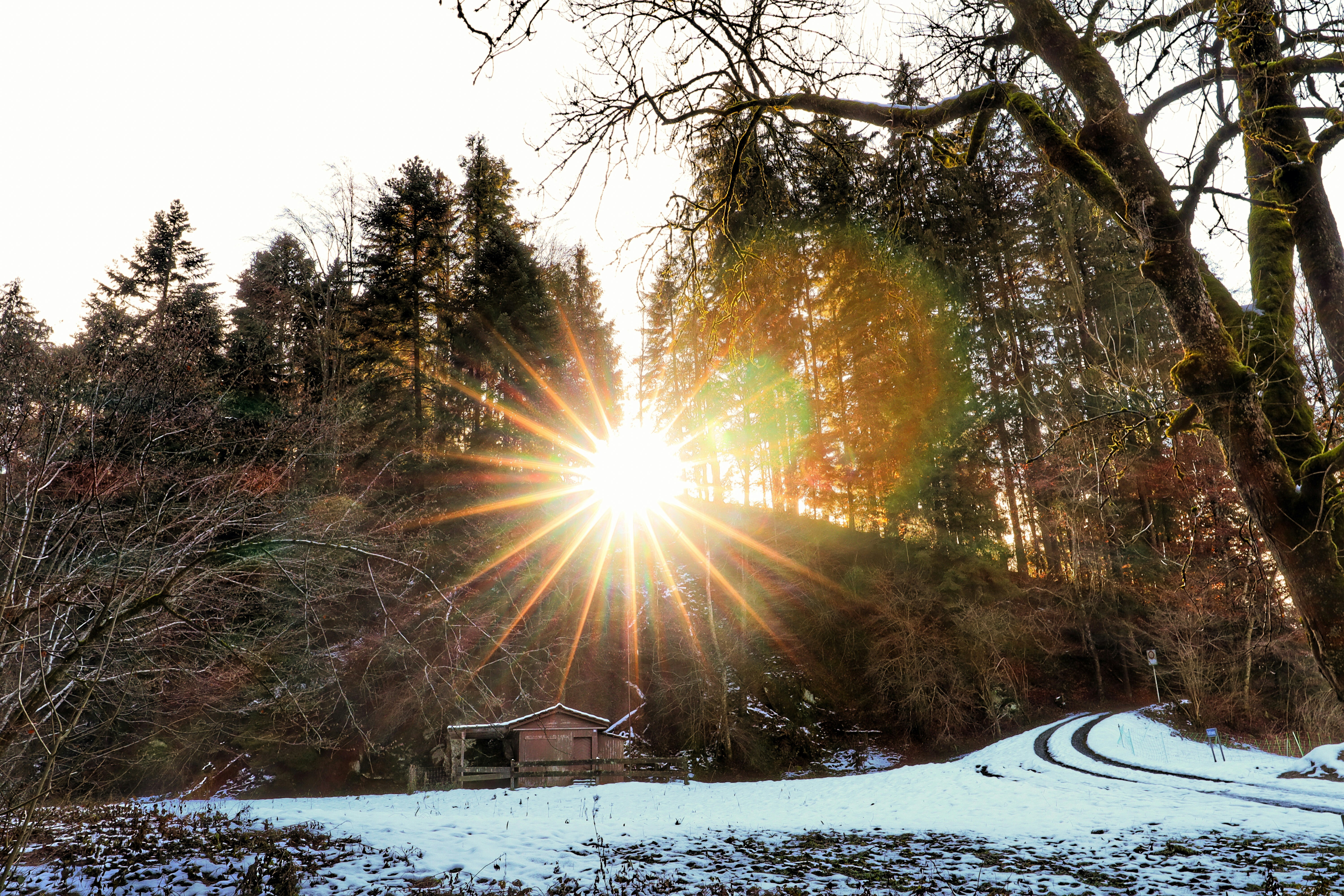 Sunlight bursts through a snowy forest, illuminating a rustic shed nestled among tall trees. The scene captures the serene beauty of winter's light.