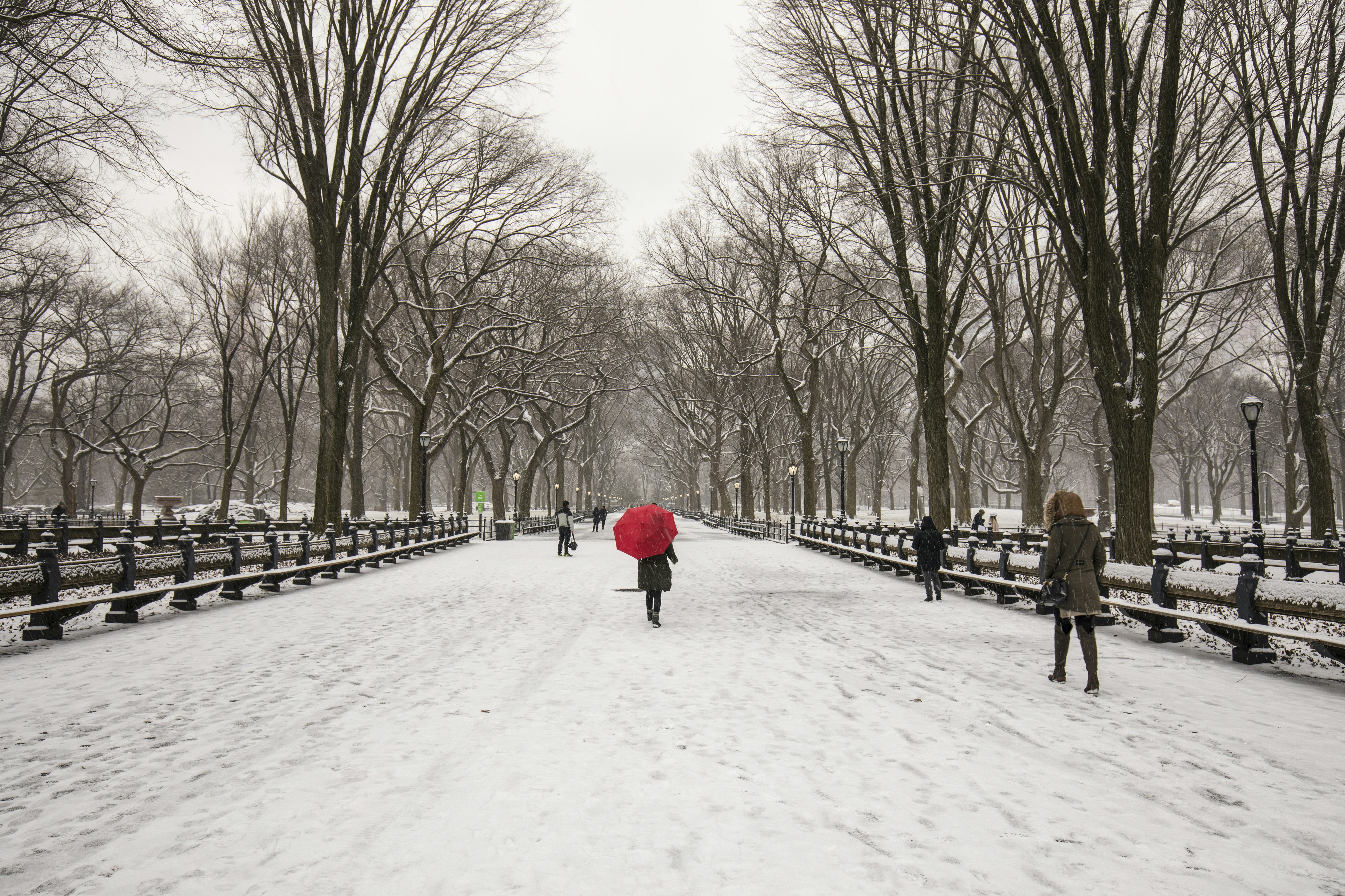Person with a red umbrella walking along a snow-covered path lined with bare trees in a serene winter park scene.